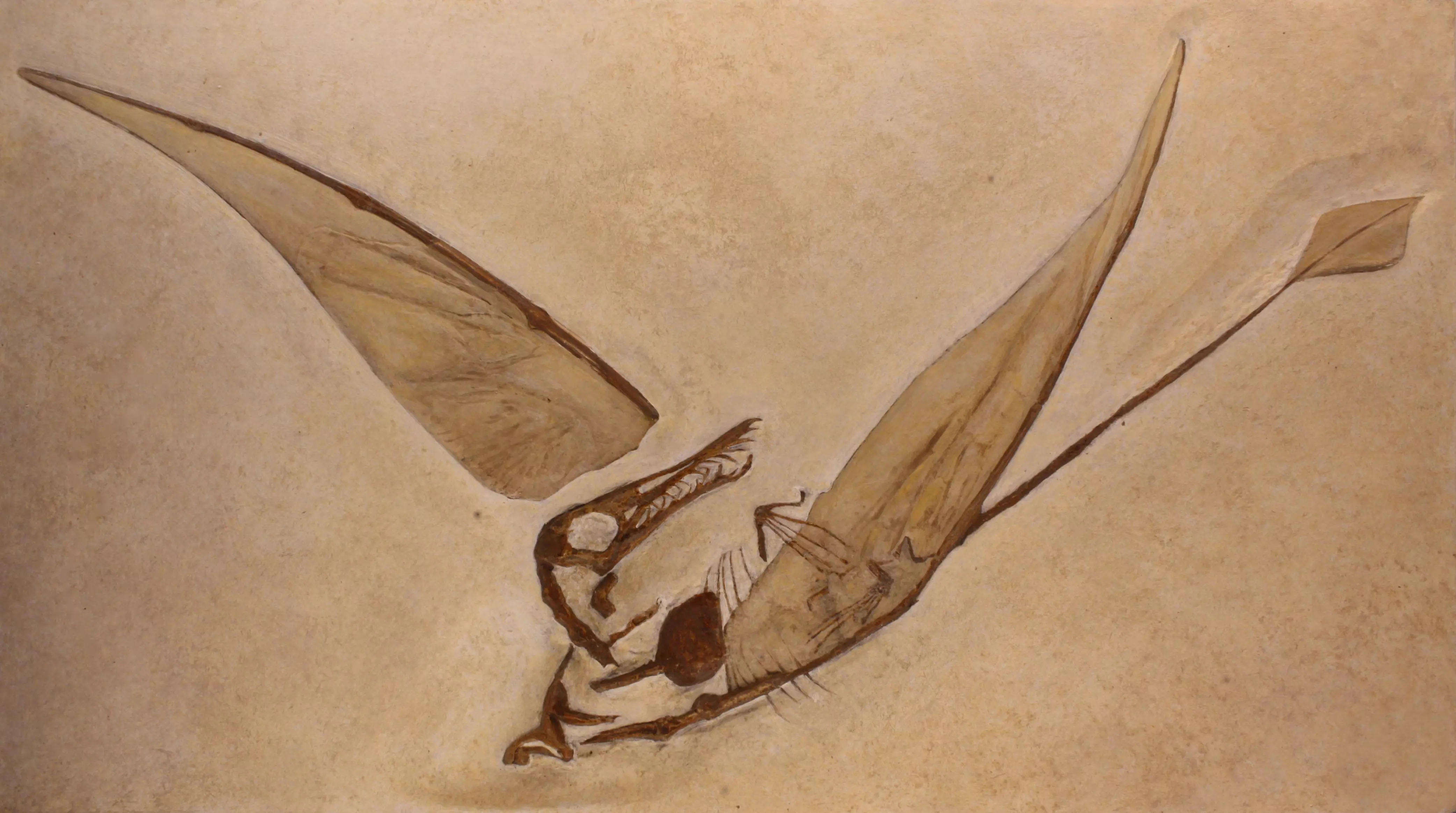 Pterosauri - Leteći gmazovi - Evolucija