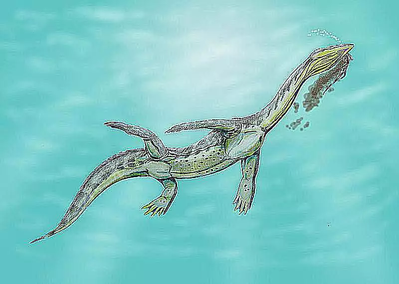 ceresiosaurus