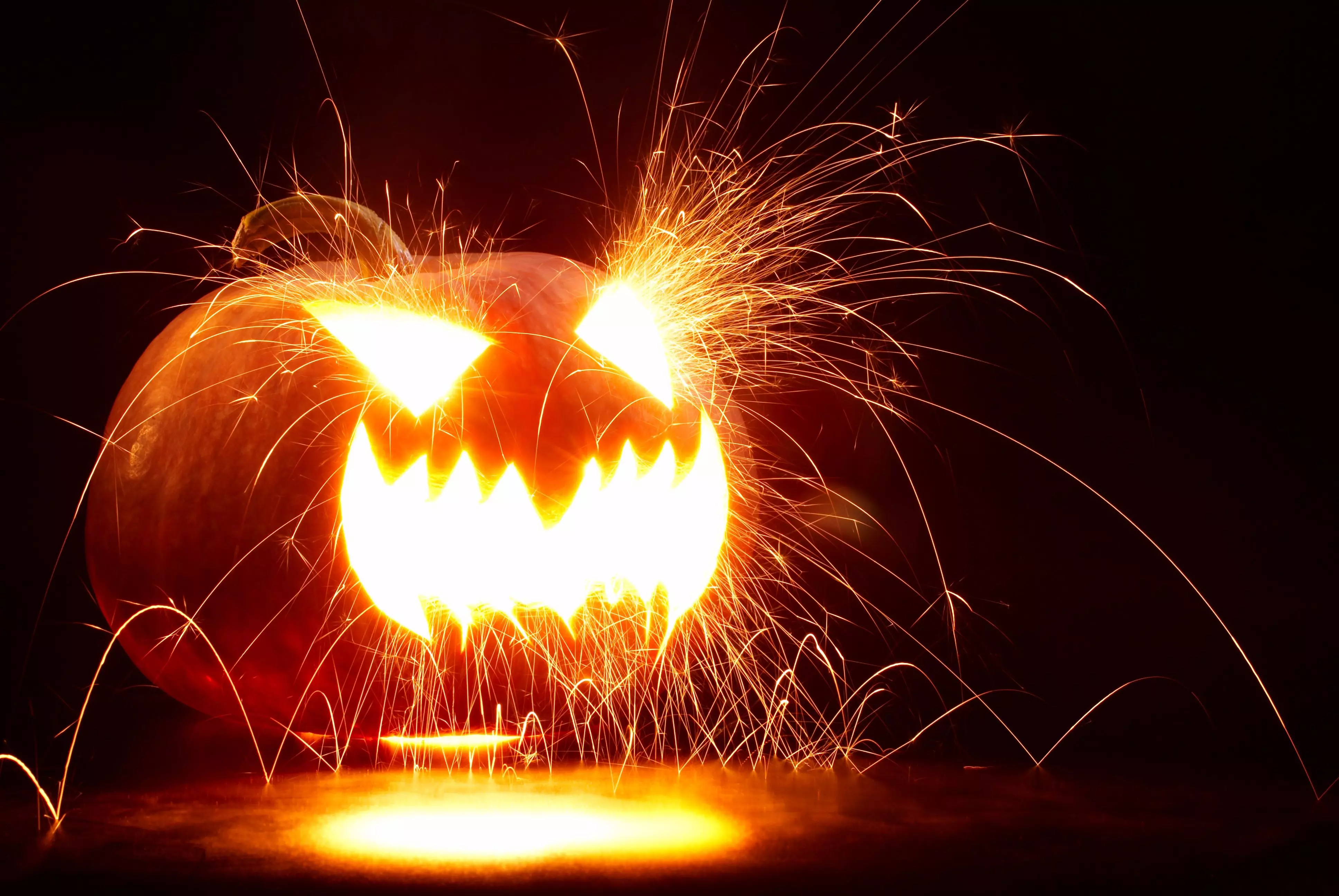 بارد هالوين القرع و Jack o Lanterns