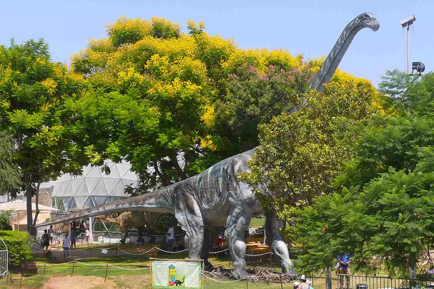 20 Dinosaurus Panggedena sareng Reptil Prasejarah 21431_1