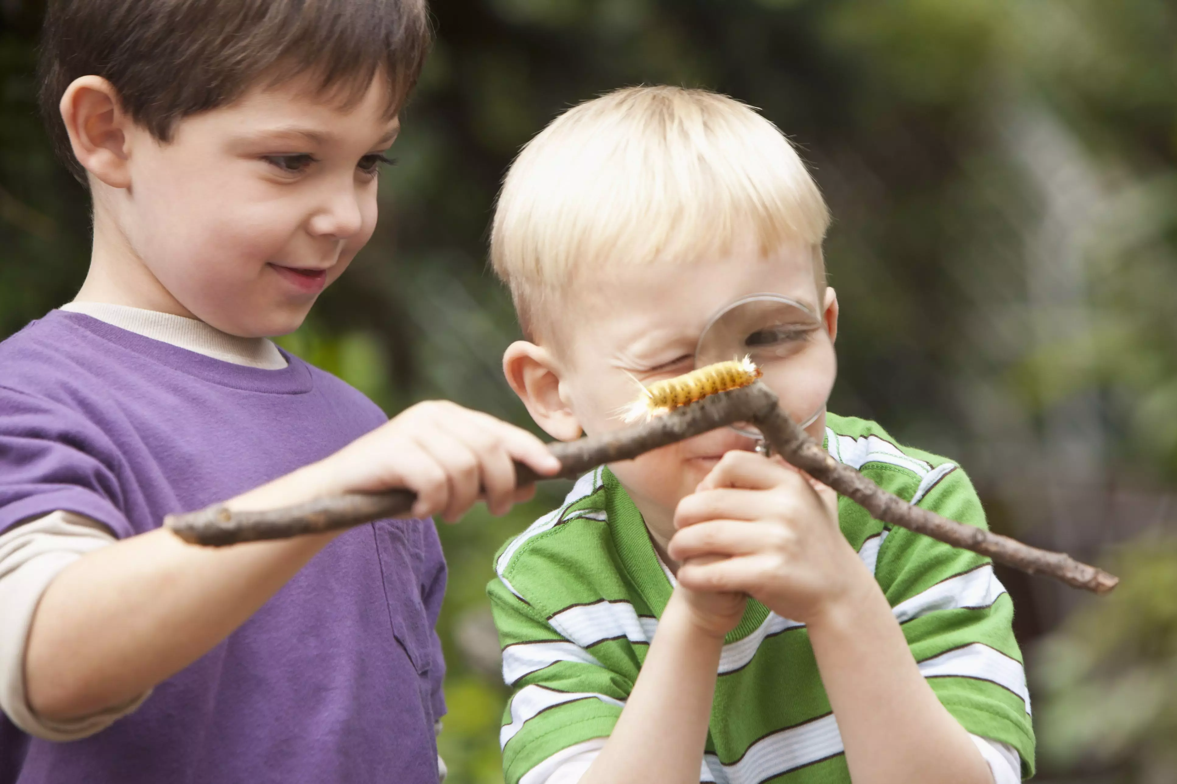 15 Sayop nga Pagsabut Ang mga Bata (Ug Mga Hamtong) Adunay Mahitungod sa mga Insekto