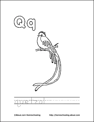Letter Q 5