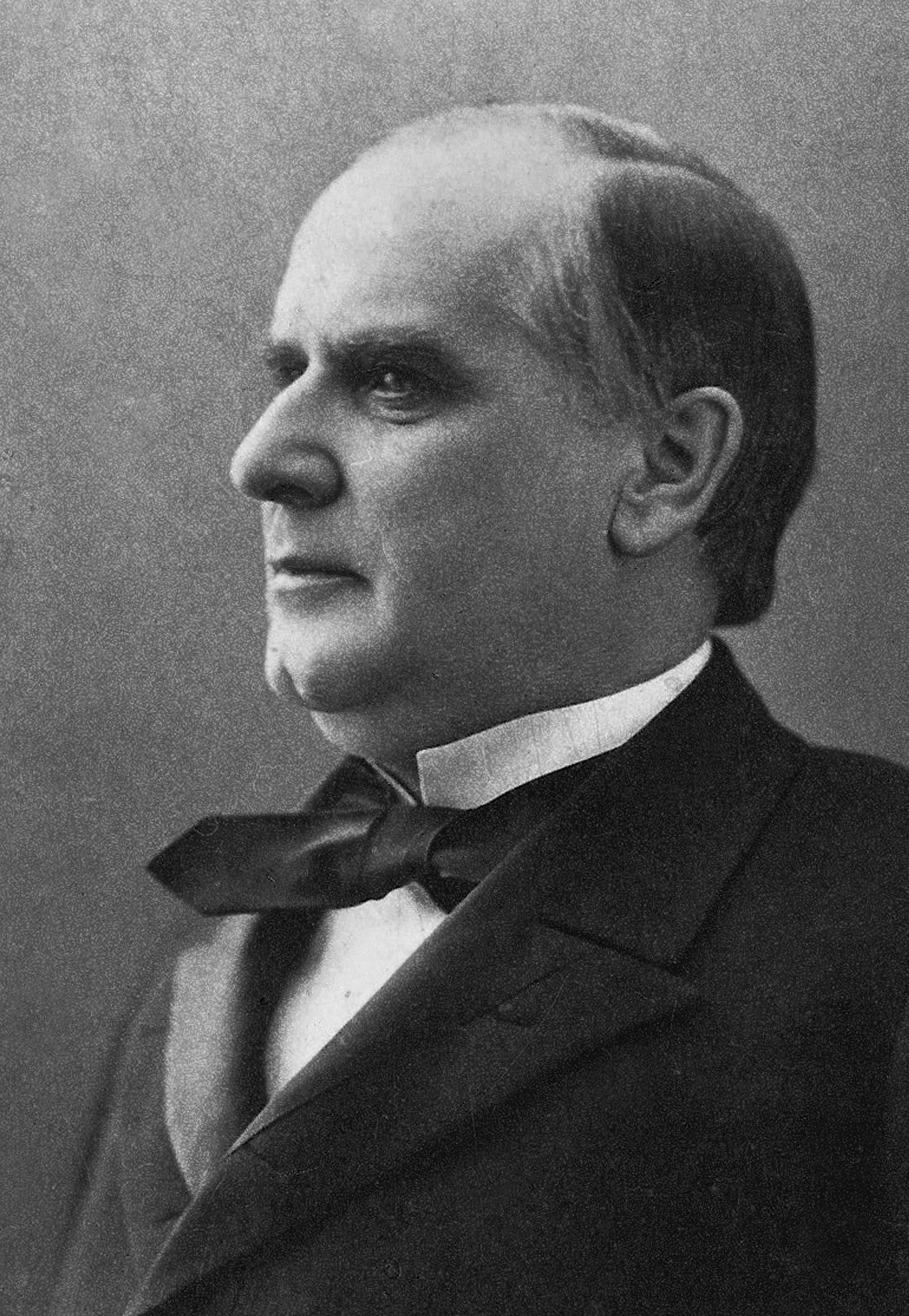 Potret Presiden William McKinley