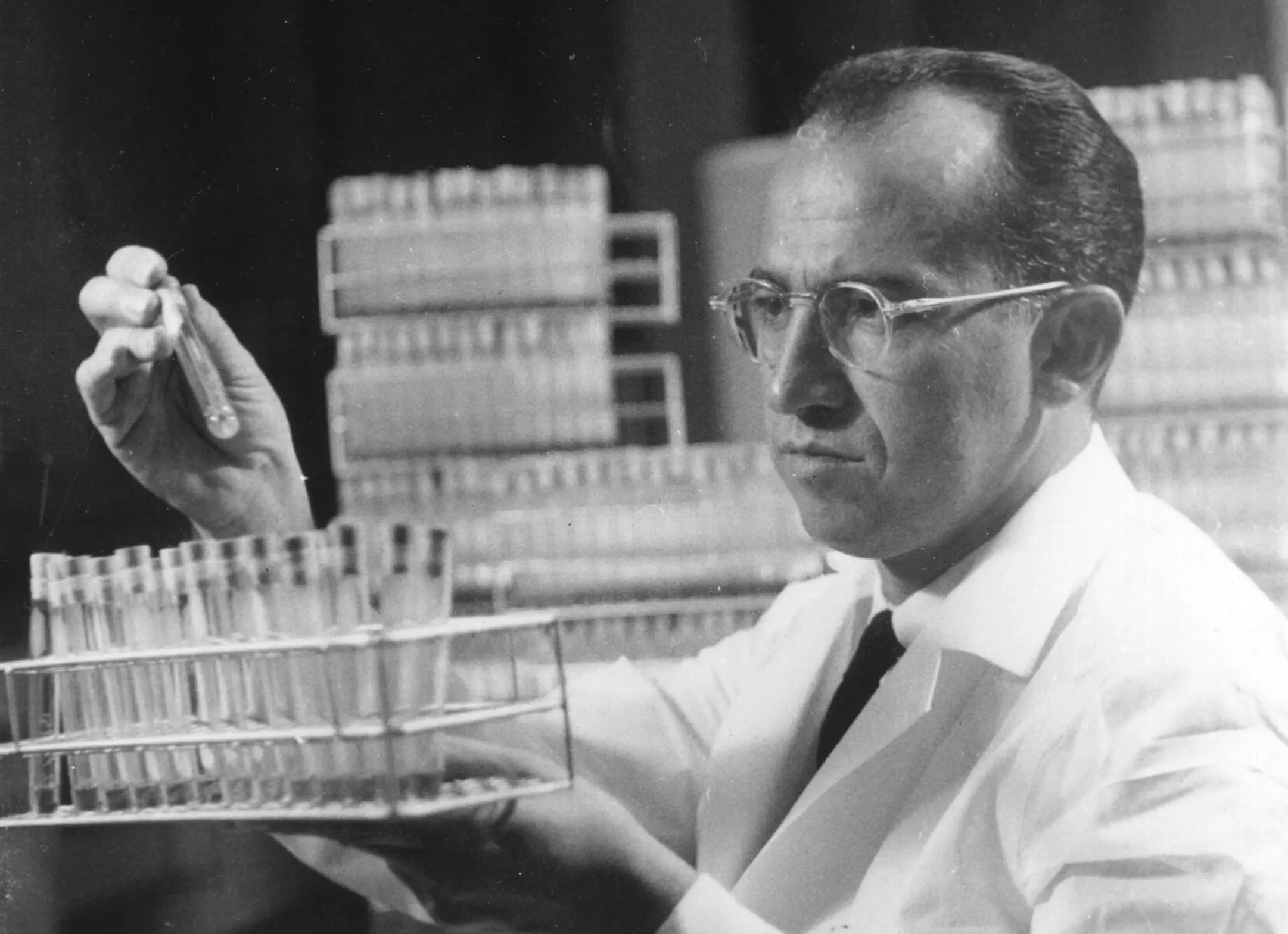 Biografia de Jonas Salk: inventor de la vacuna contra la poliomielitis