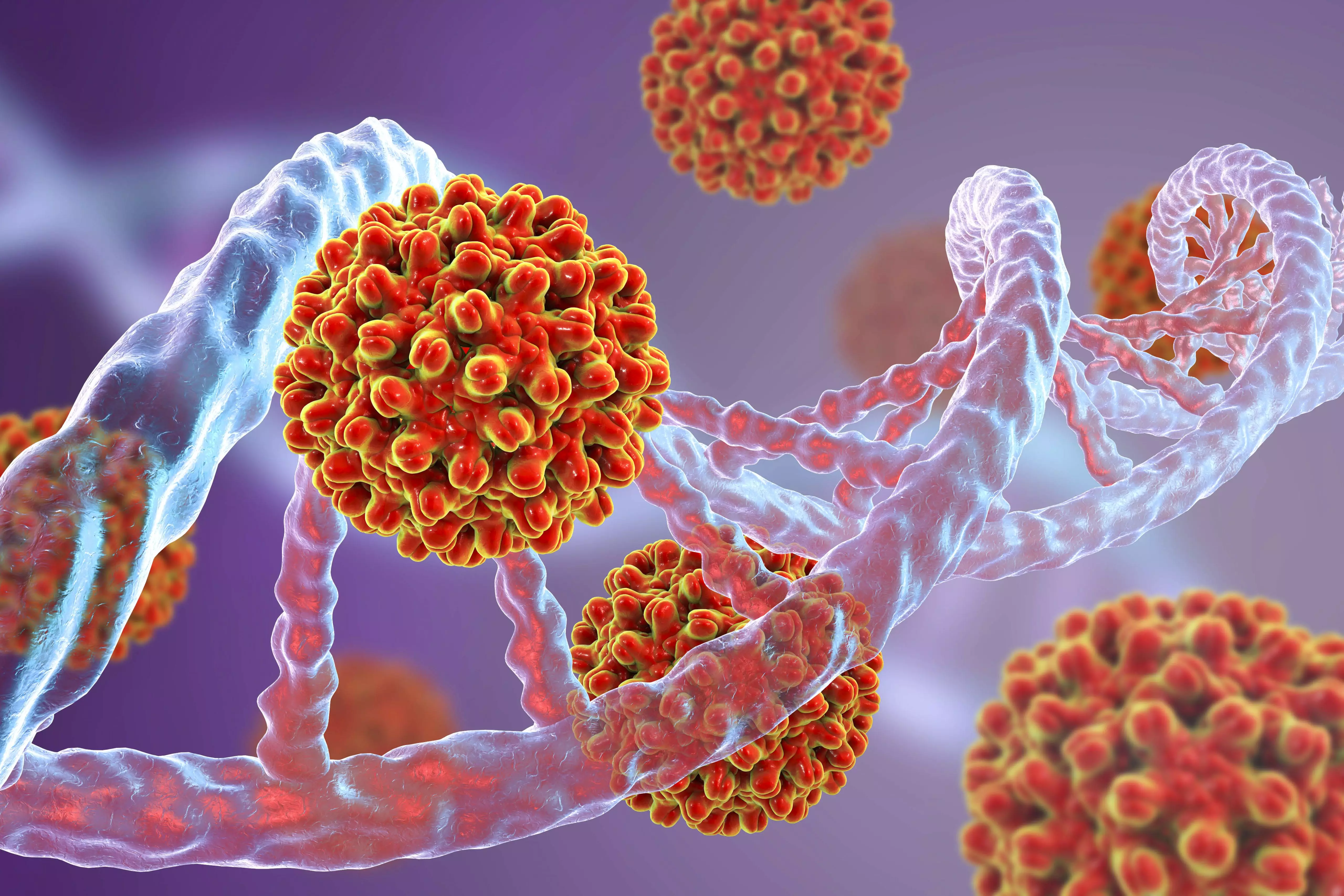 Hepatitis-B-Viren und DNA, Illustration