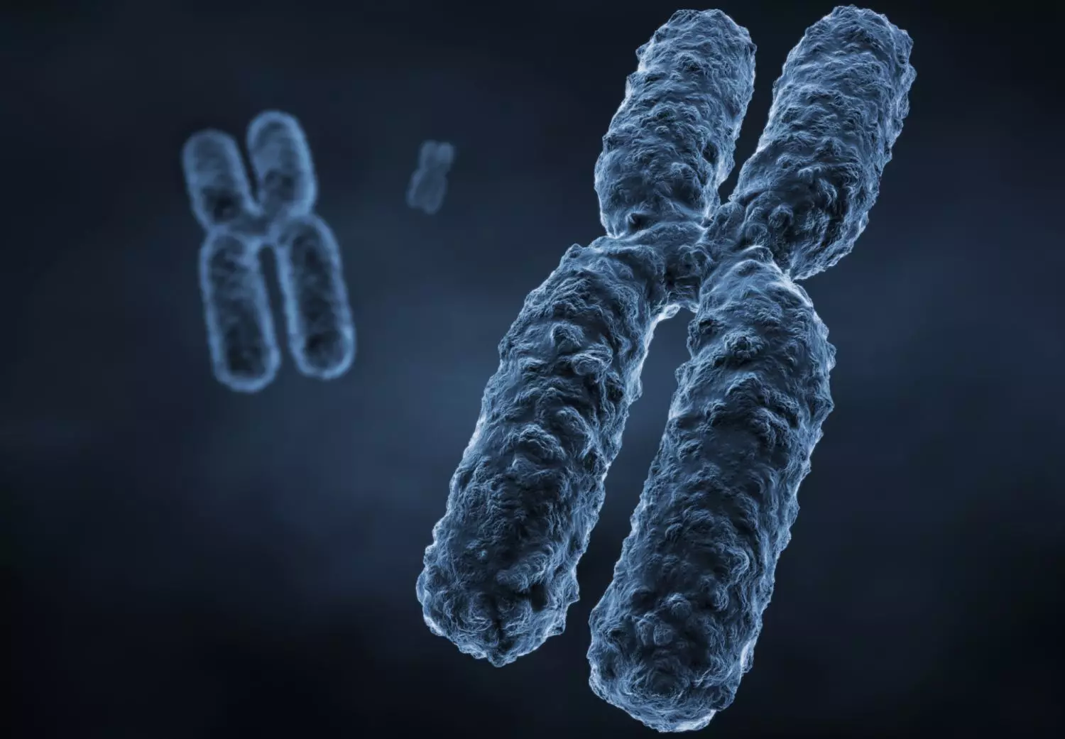 Lintlha tse 10 ka Li-Chromosome