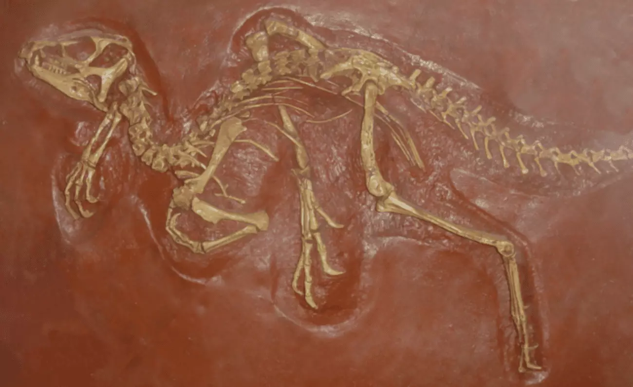 eterodontosauro