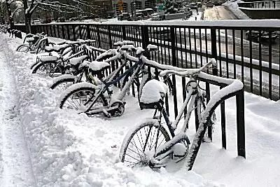 하버드 대학의 눈 덮인 자전거
