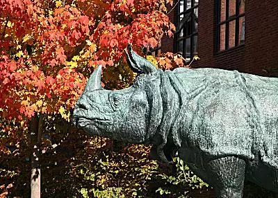Universidade de Harvard - Bessie the Rhino diante dos Bio Labs de Harvard