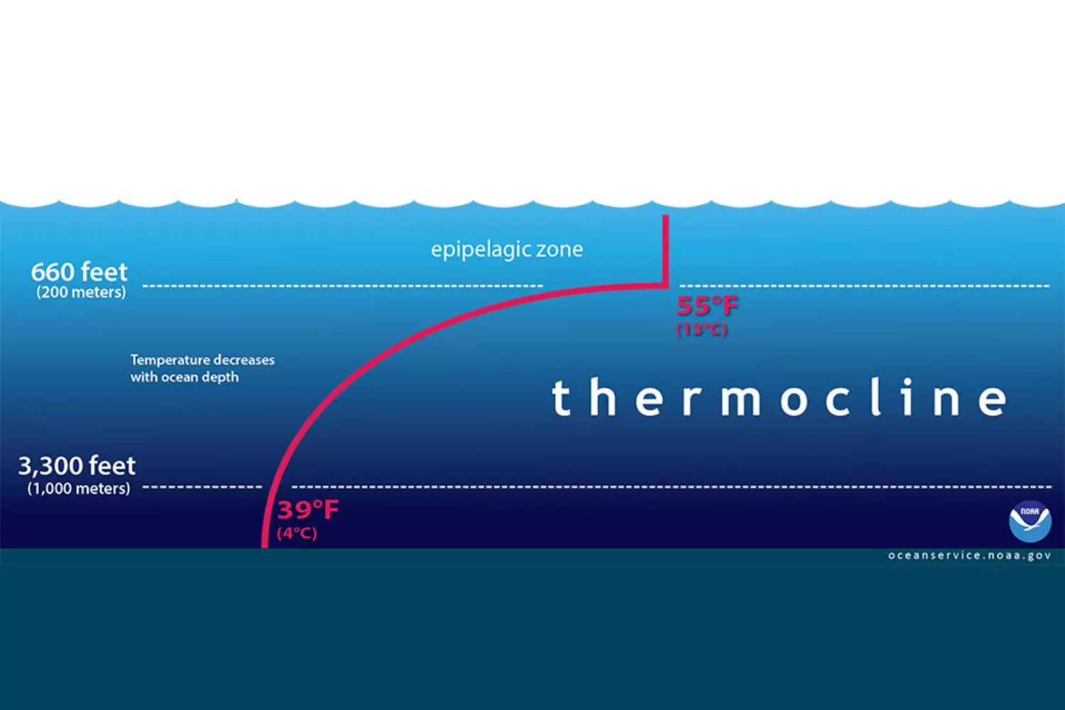 Thermoklin