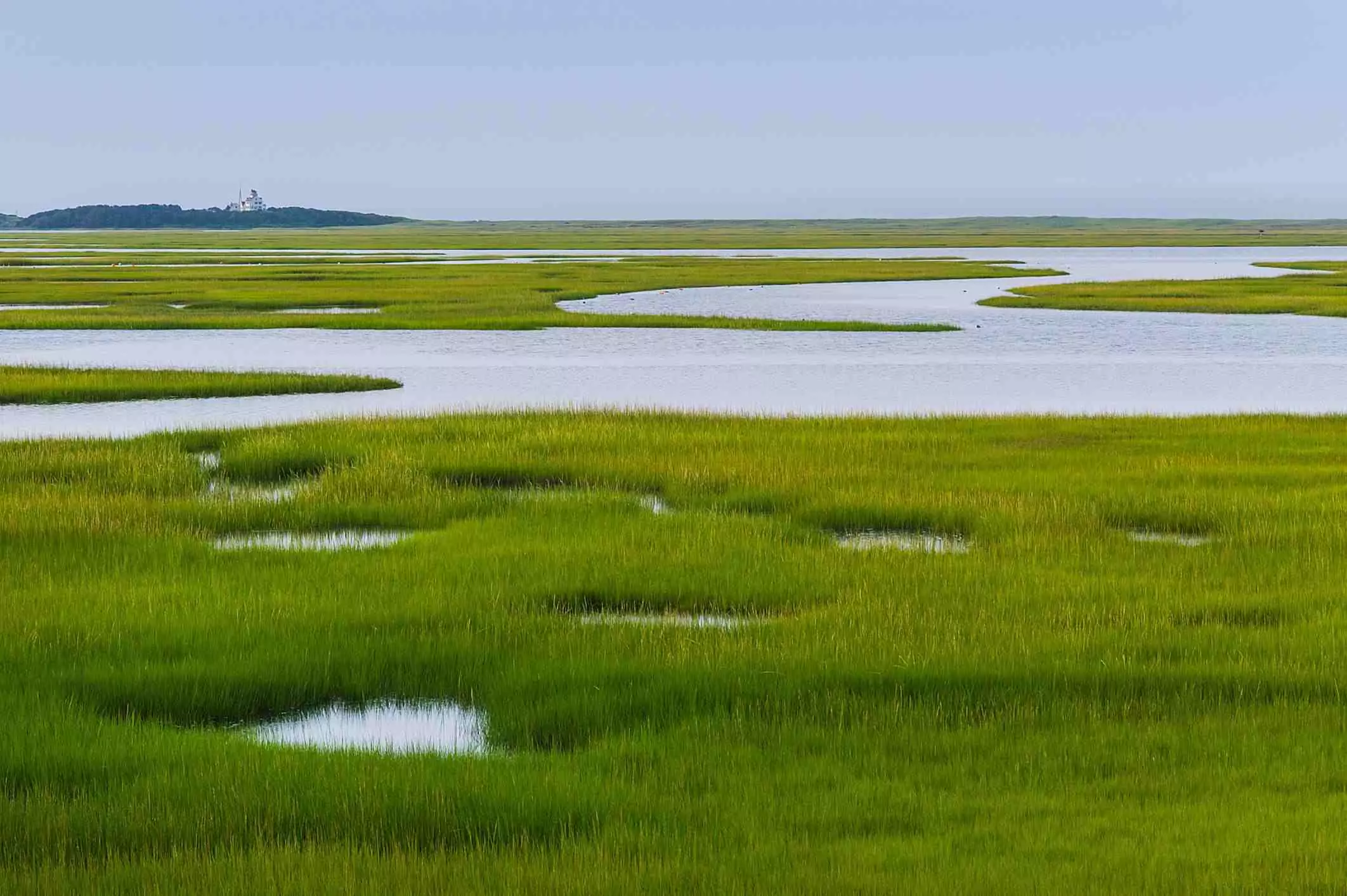 Salt Marsh di Cape Cod, Massachusetts dina dinten kulawu.