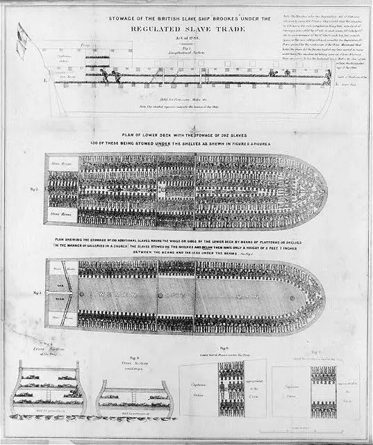 Diagram suženjske ladje Brookes