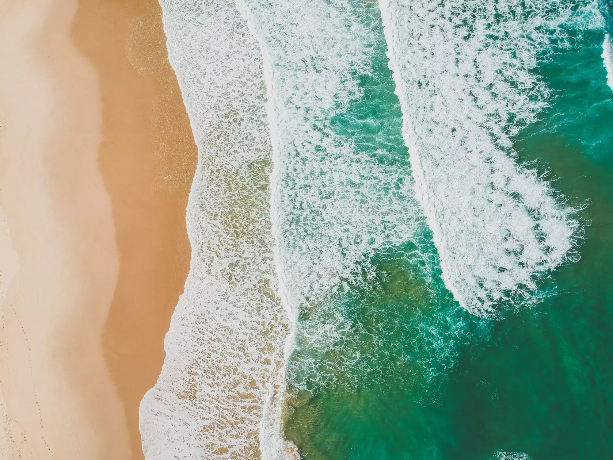 海流の概要とその循環方法