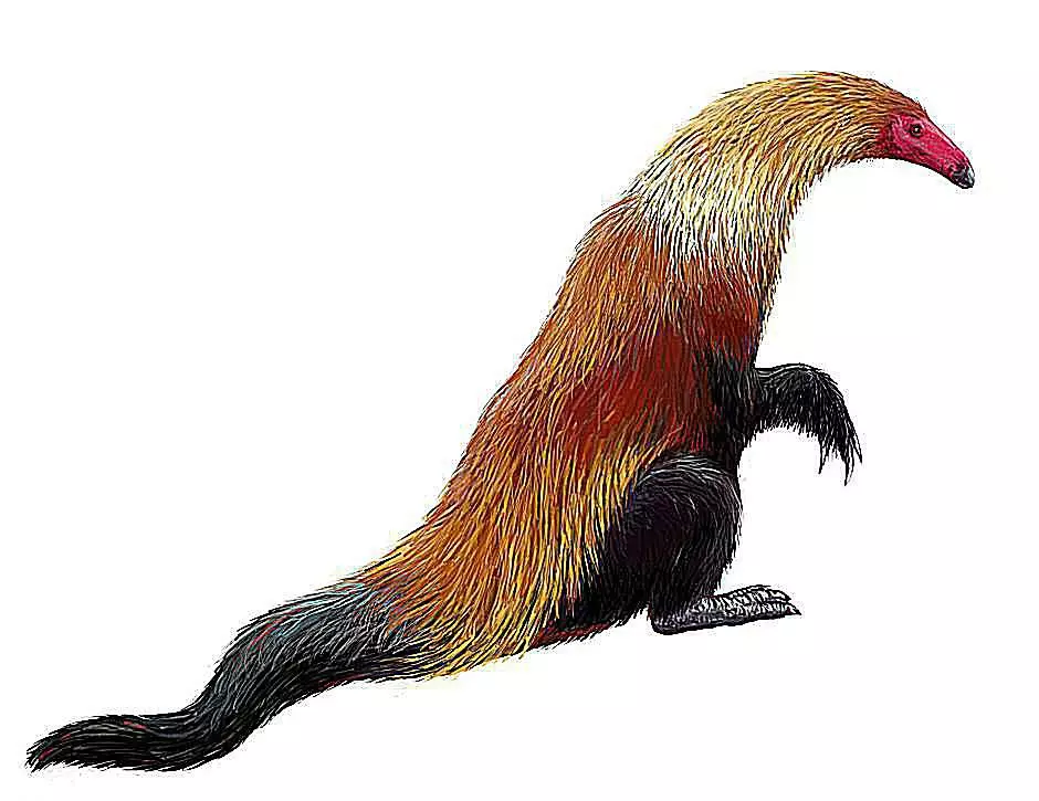 neimongosaurus