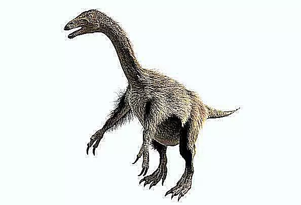 nothronychus