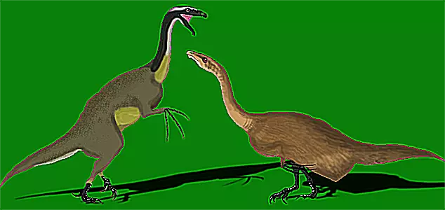 enigmosaurus