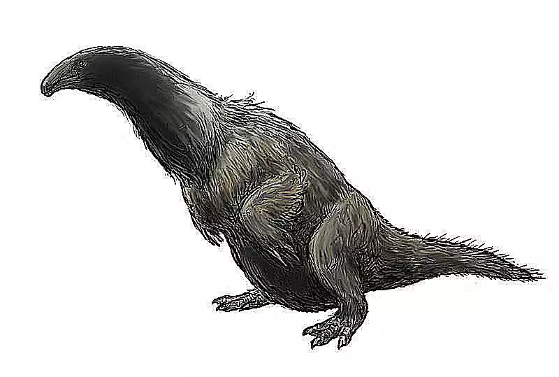 erliansaurus