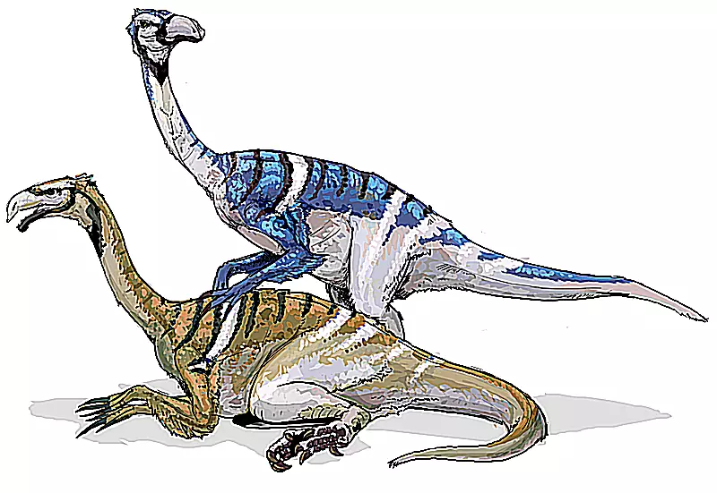 nanshiungosaurus