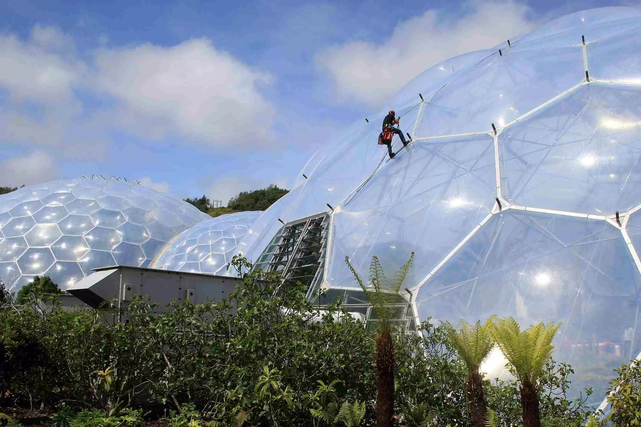 Tehnician pe frânghie coboară bule ETFE din proiectul Eden din Cornwall, Anglia