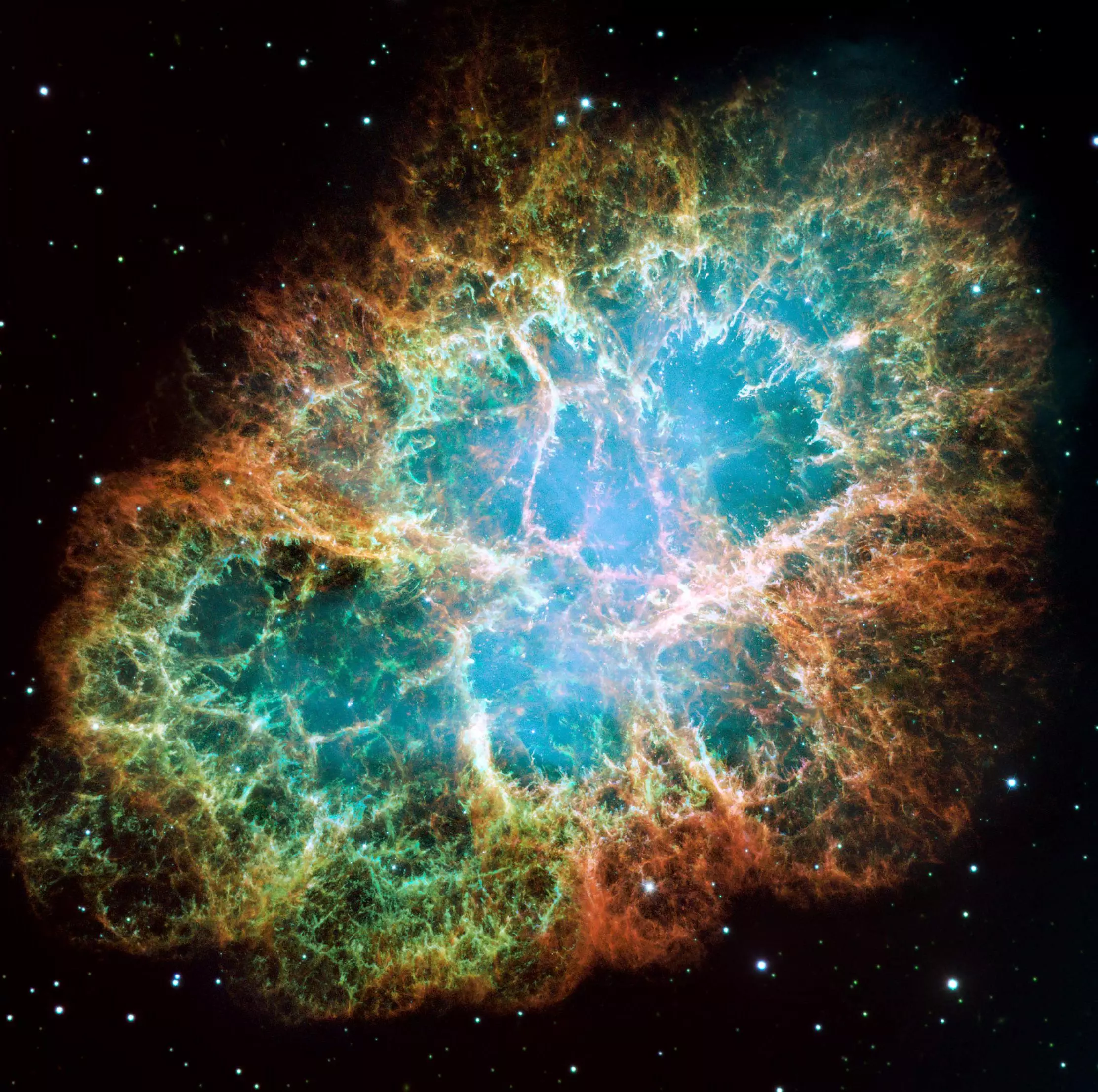 Supernovaoj: La Mortoj de Massive Stars