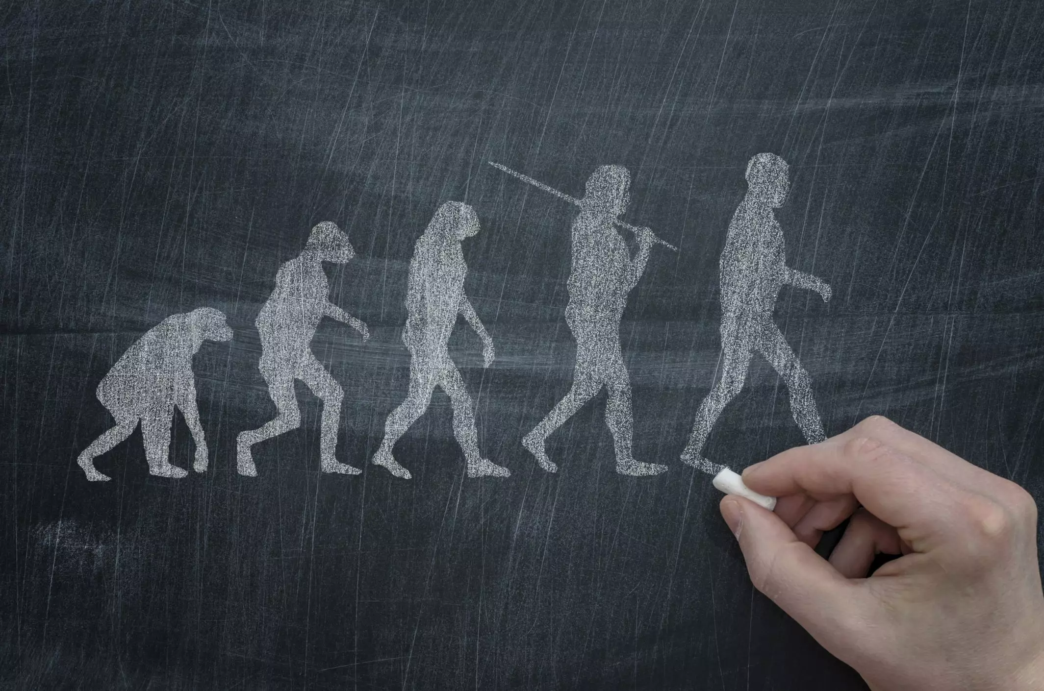 5 běžných mylných představ o evoluci
