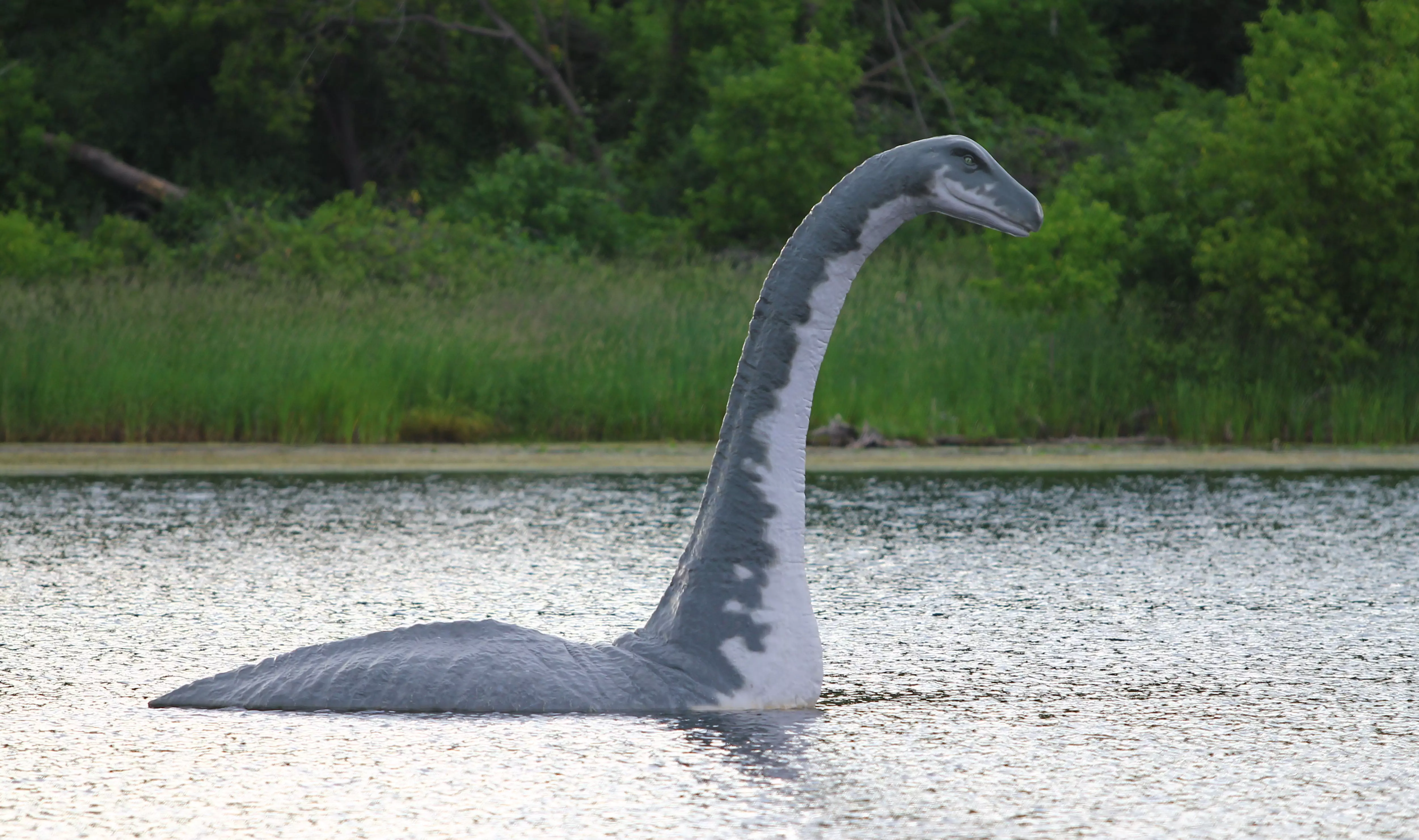 loch ness monster