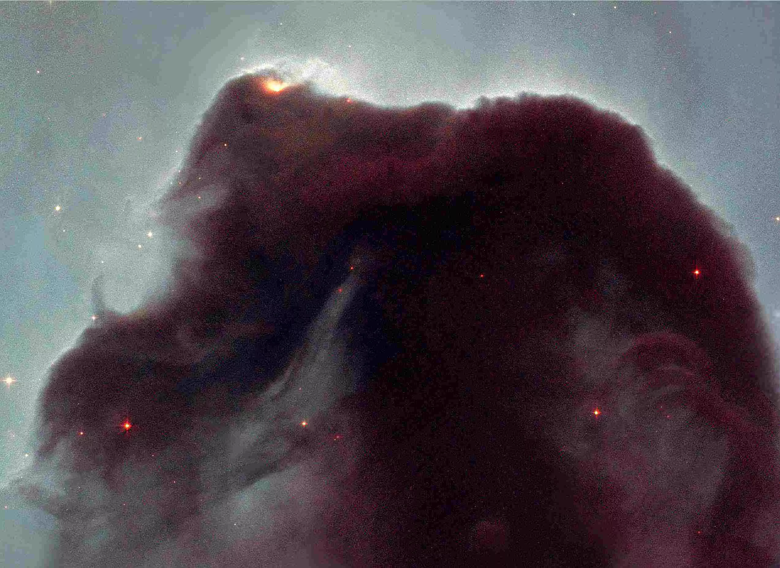 នេះជារូបភាពកែវយឺតអវកាស Hubble របស់ Horsehead Nebula។