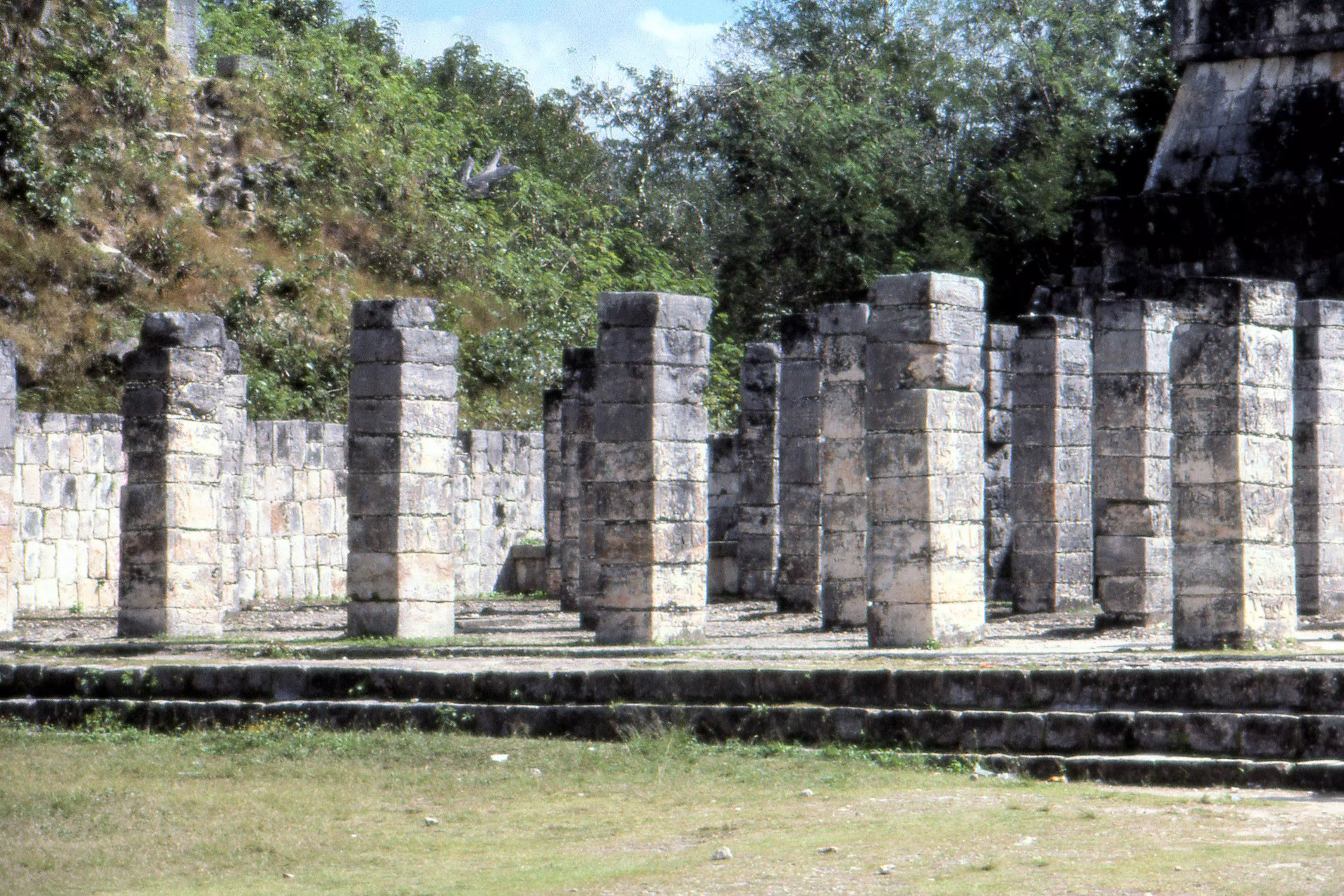 メキシコ、ユカタン州、チチェンイツァのマヤ遺跡にある戦士の神殿の列柱