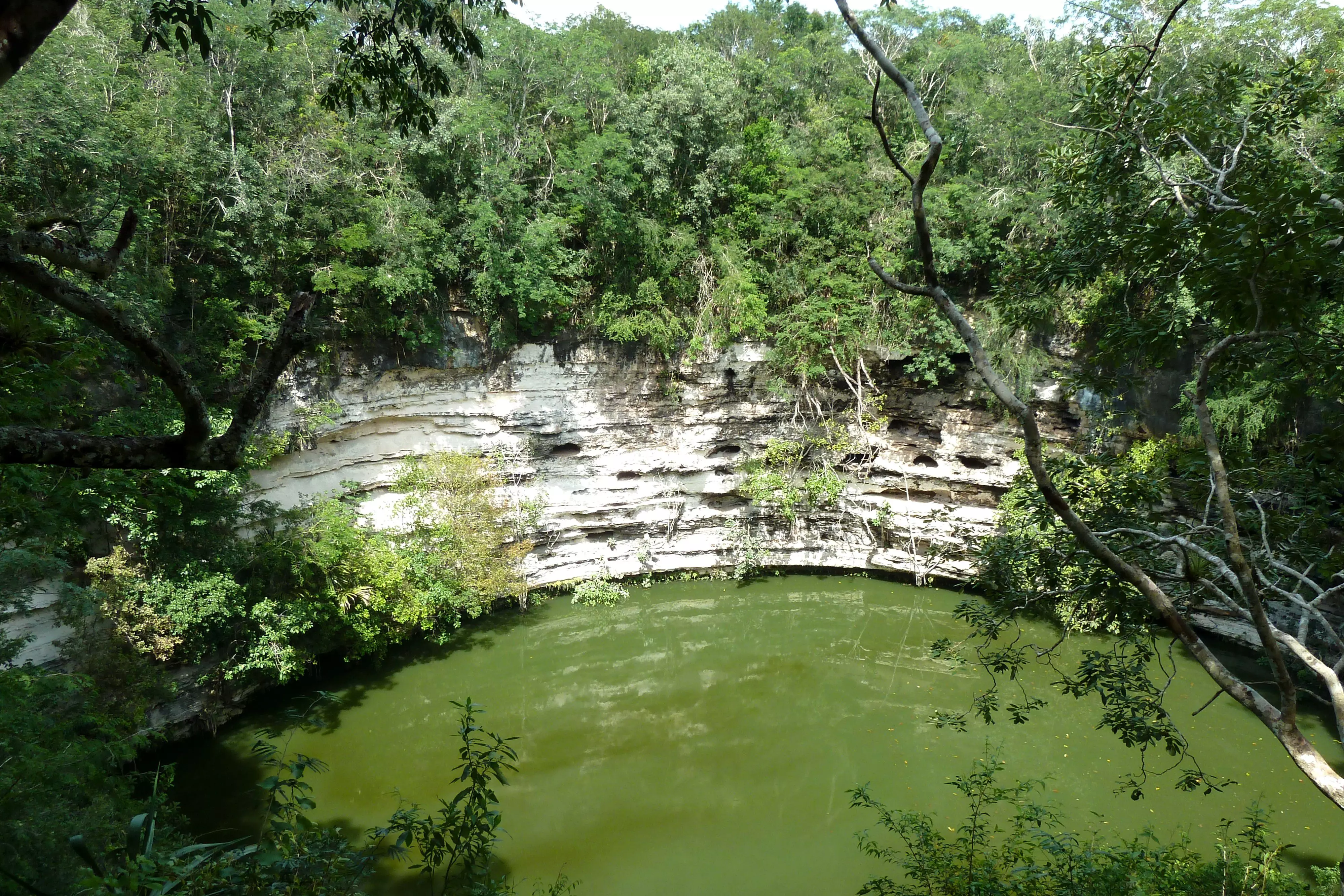 El pozo sacrificial de color verde oscuro en Chichén Itzá