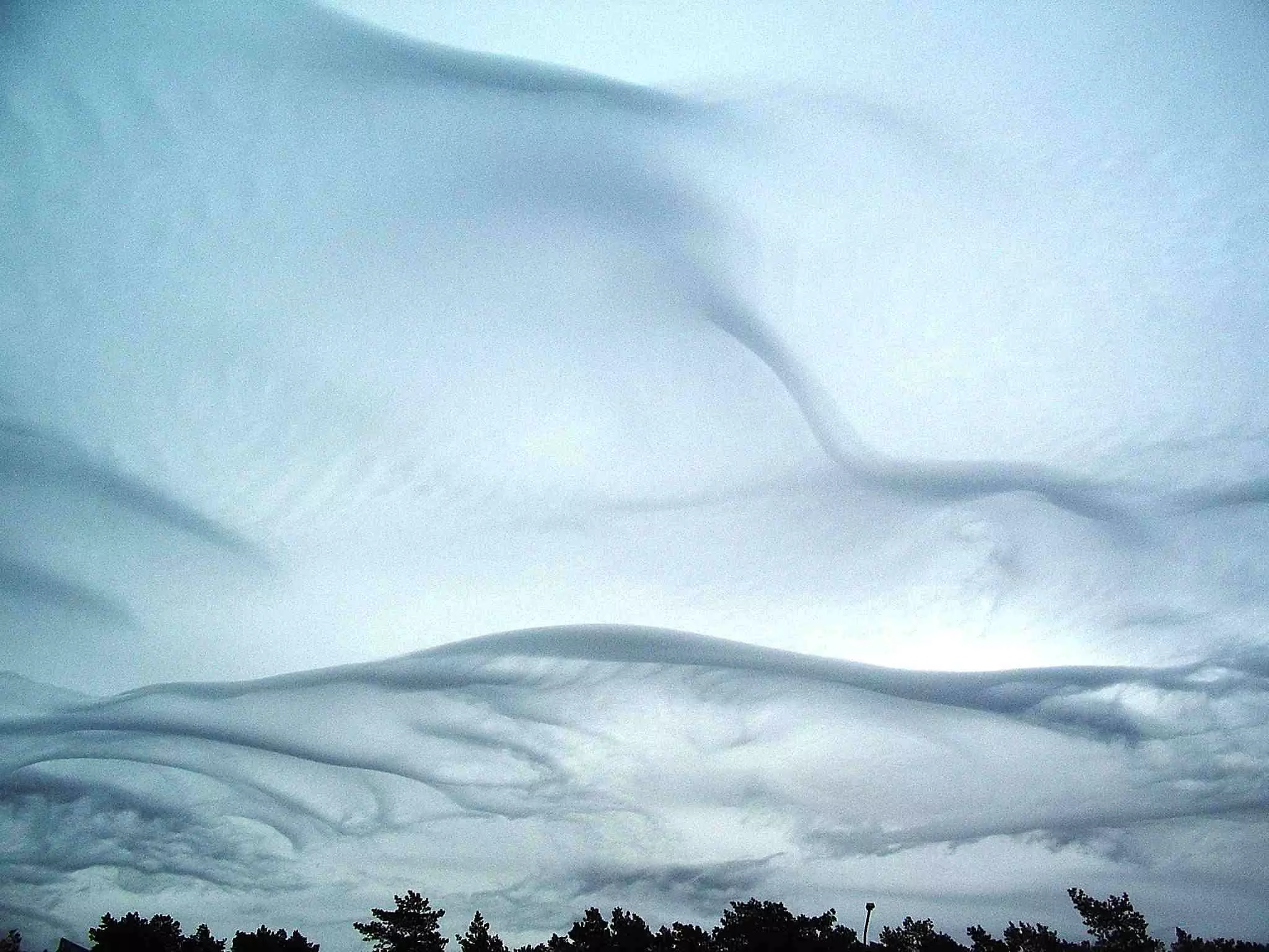 Undulatus asperatus boppe Tallinn, Estlân yn april 2009.