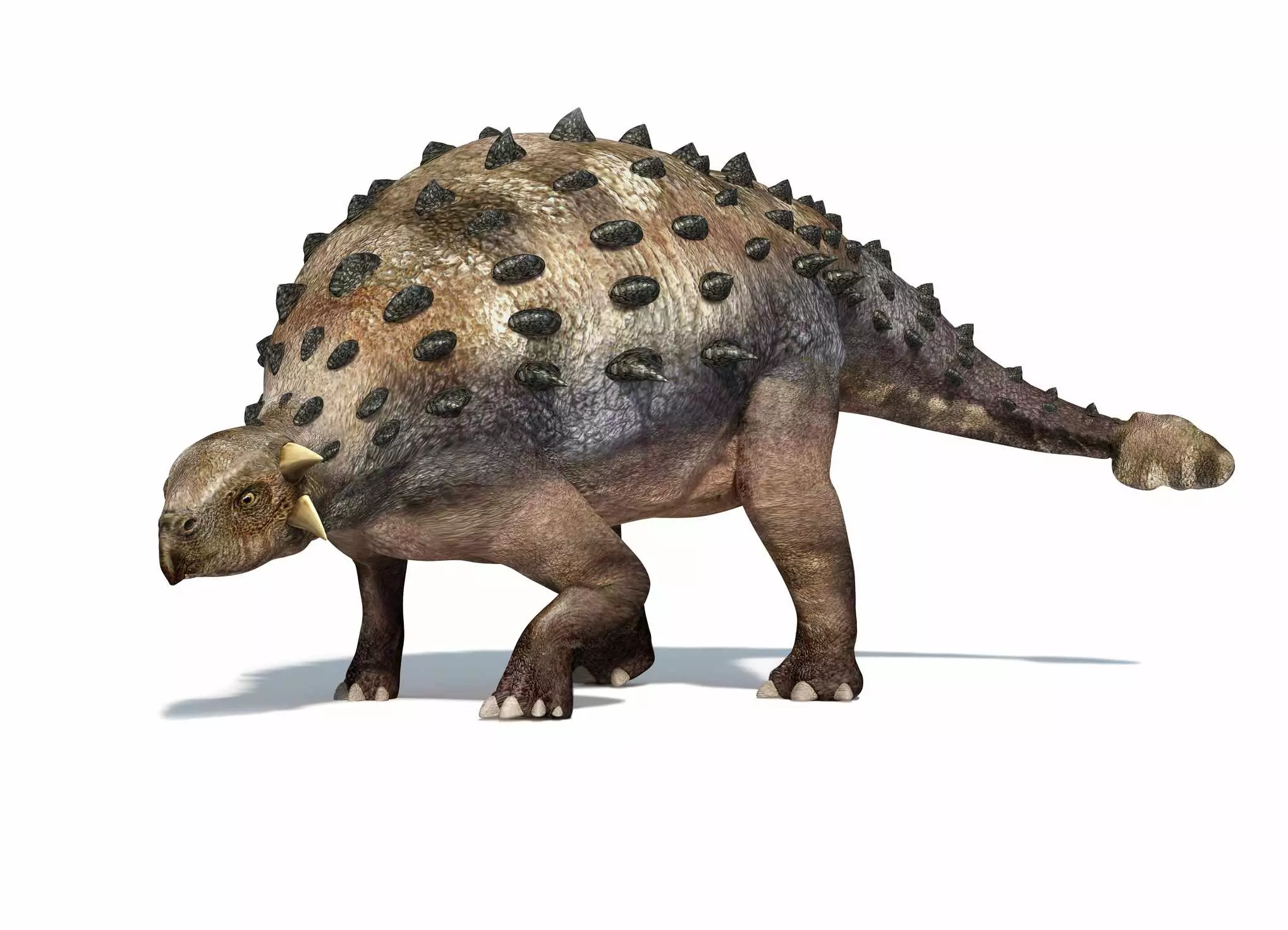 Dînozorê Ankylosaur, karê hunerî