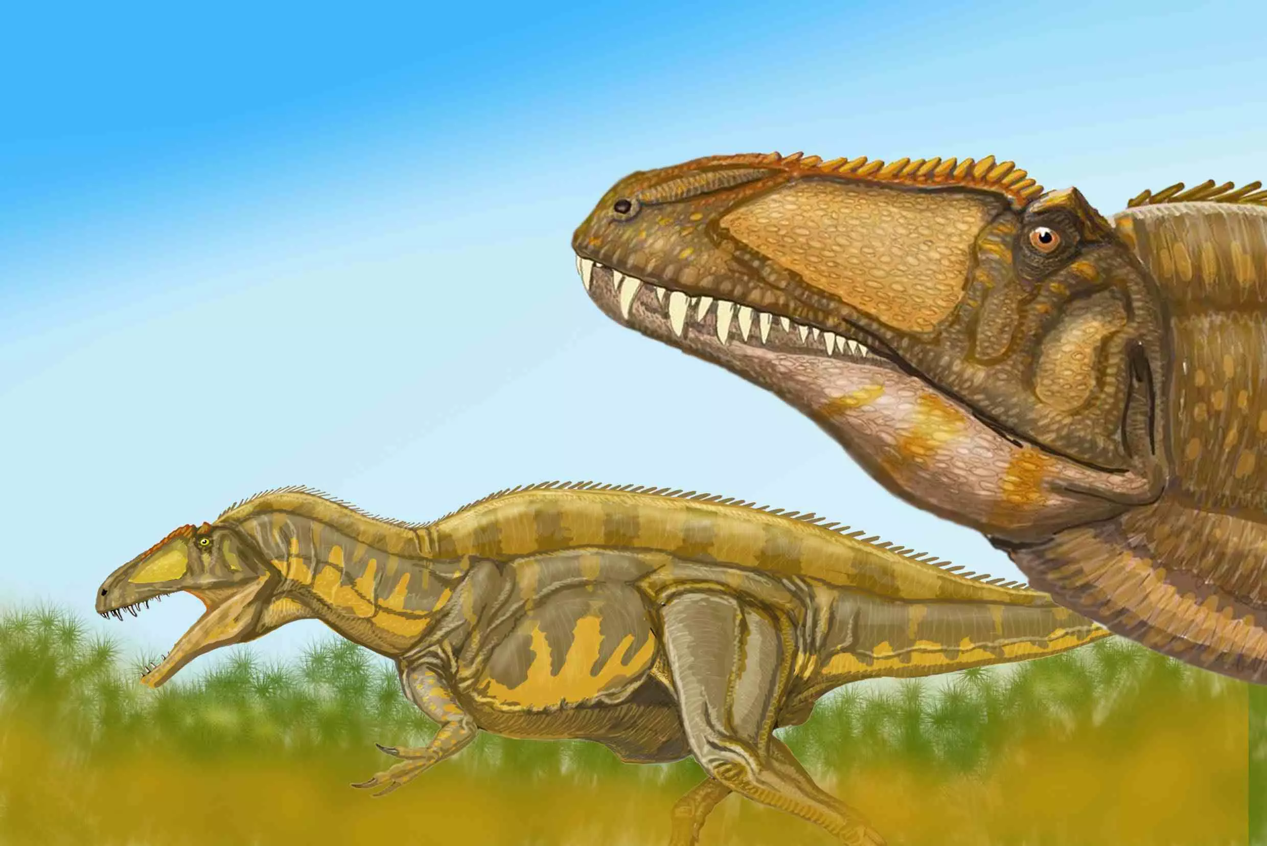 acrocanthosaure
