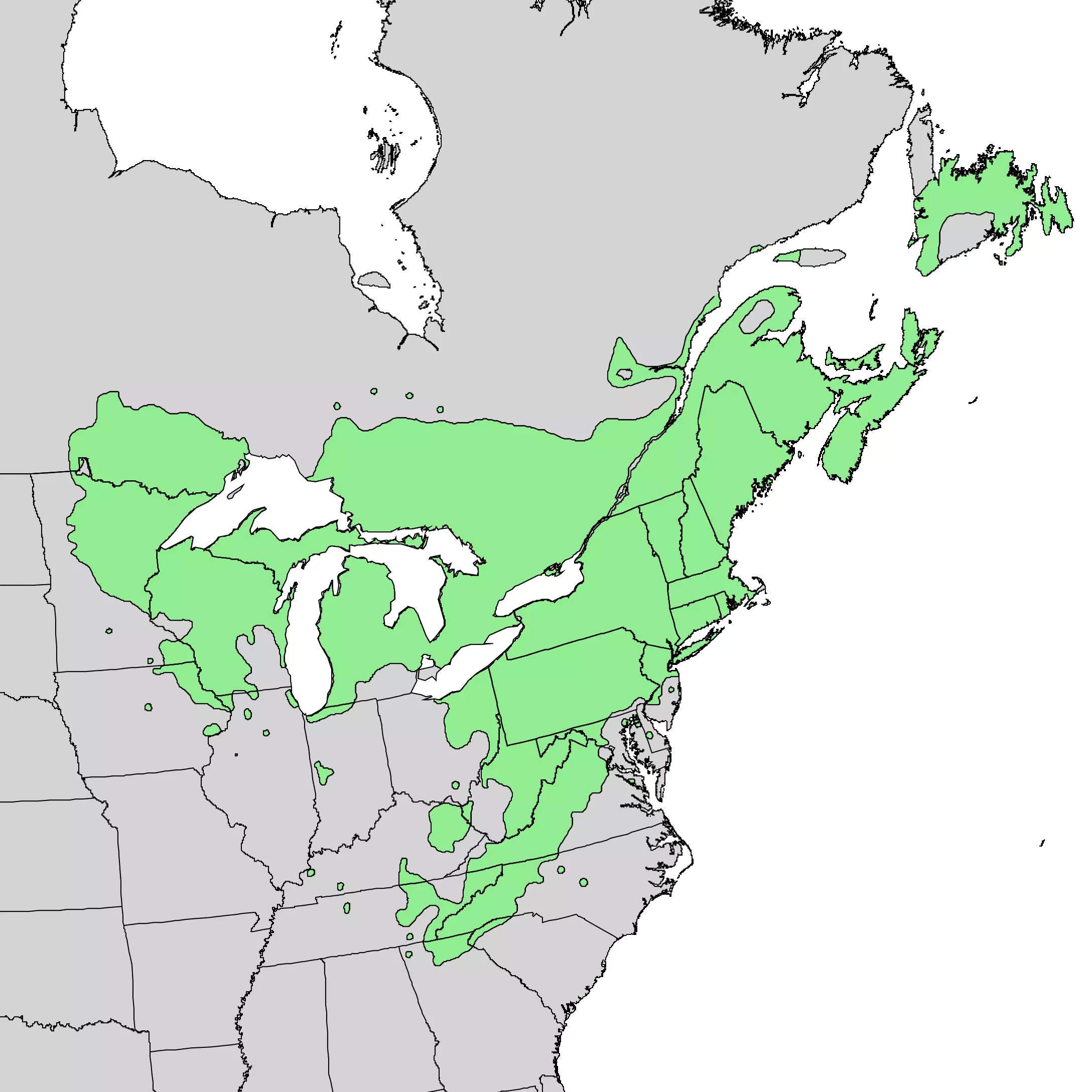 Khariidadda qaybinta geedaha geedka cad ee bari ee Waqooyiga Ameerika