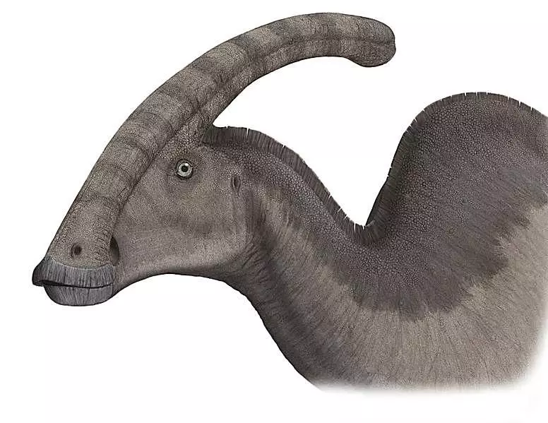 parasaurolophus