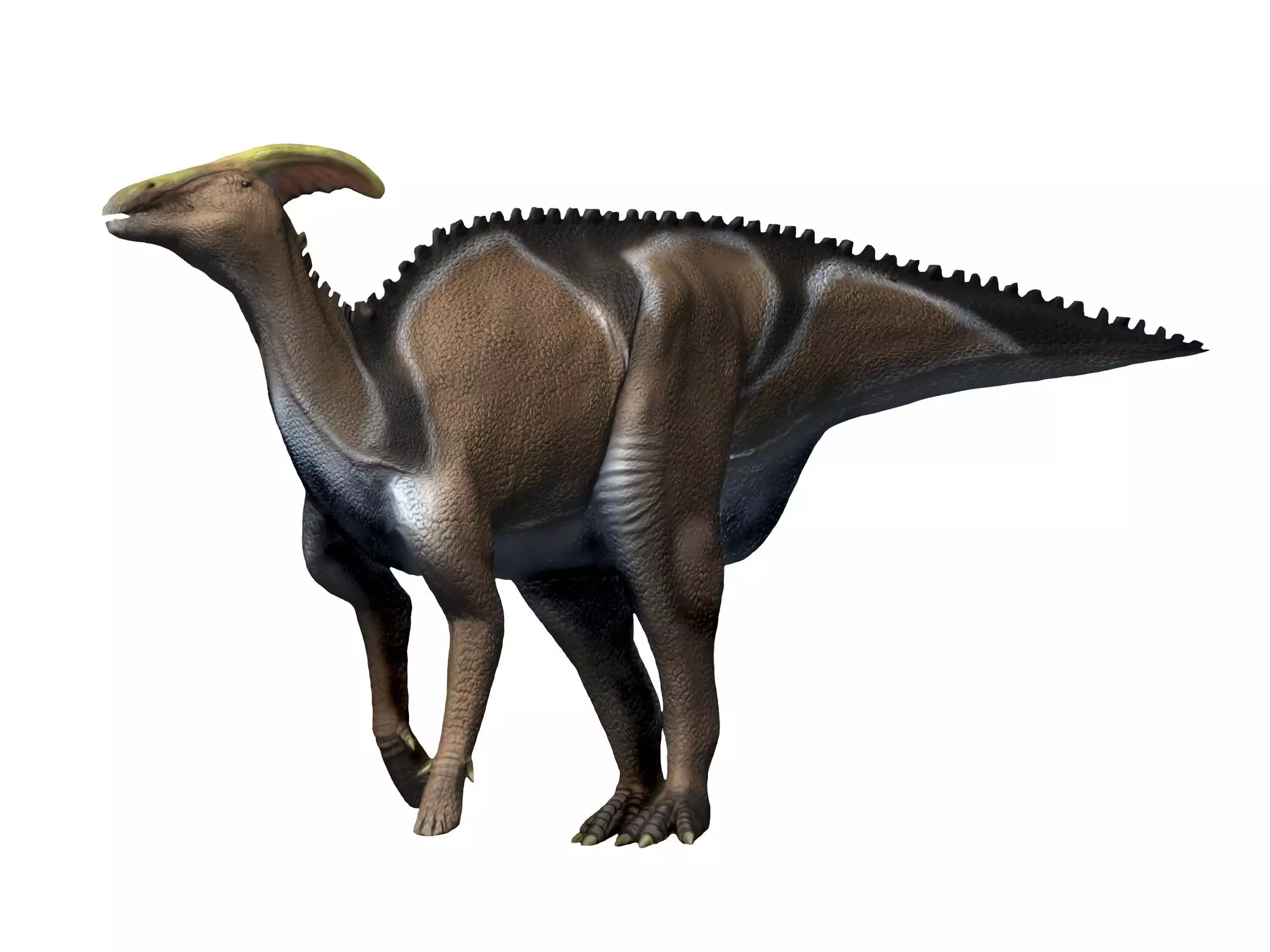 Charonosaurus