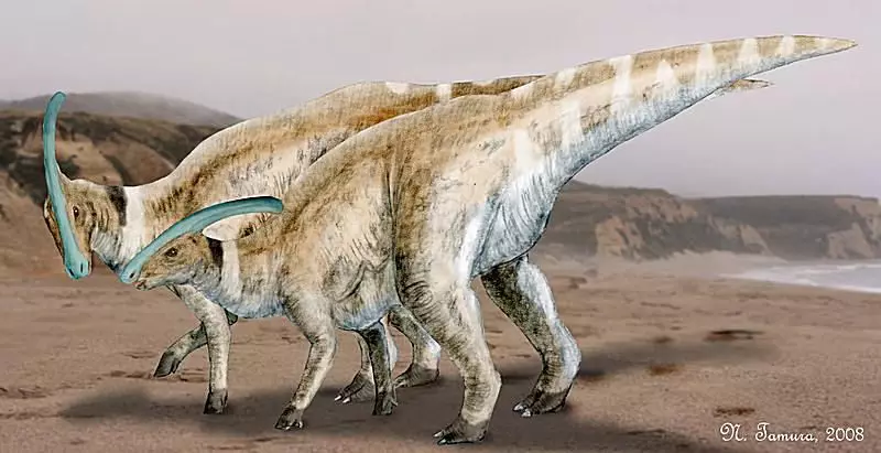 parasaurolophus