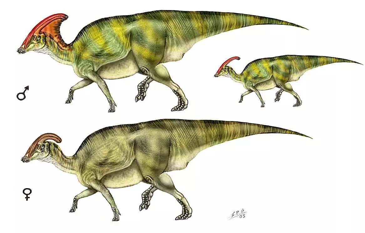 parasaurolophus