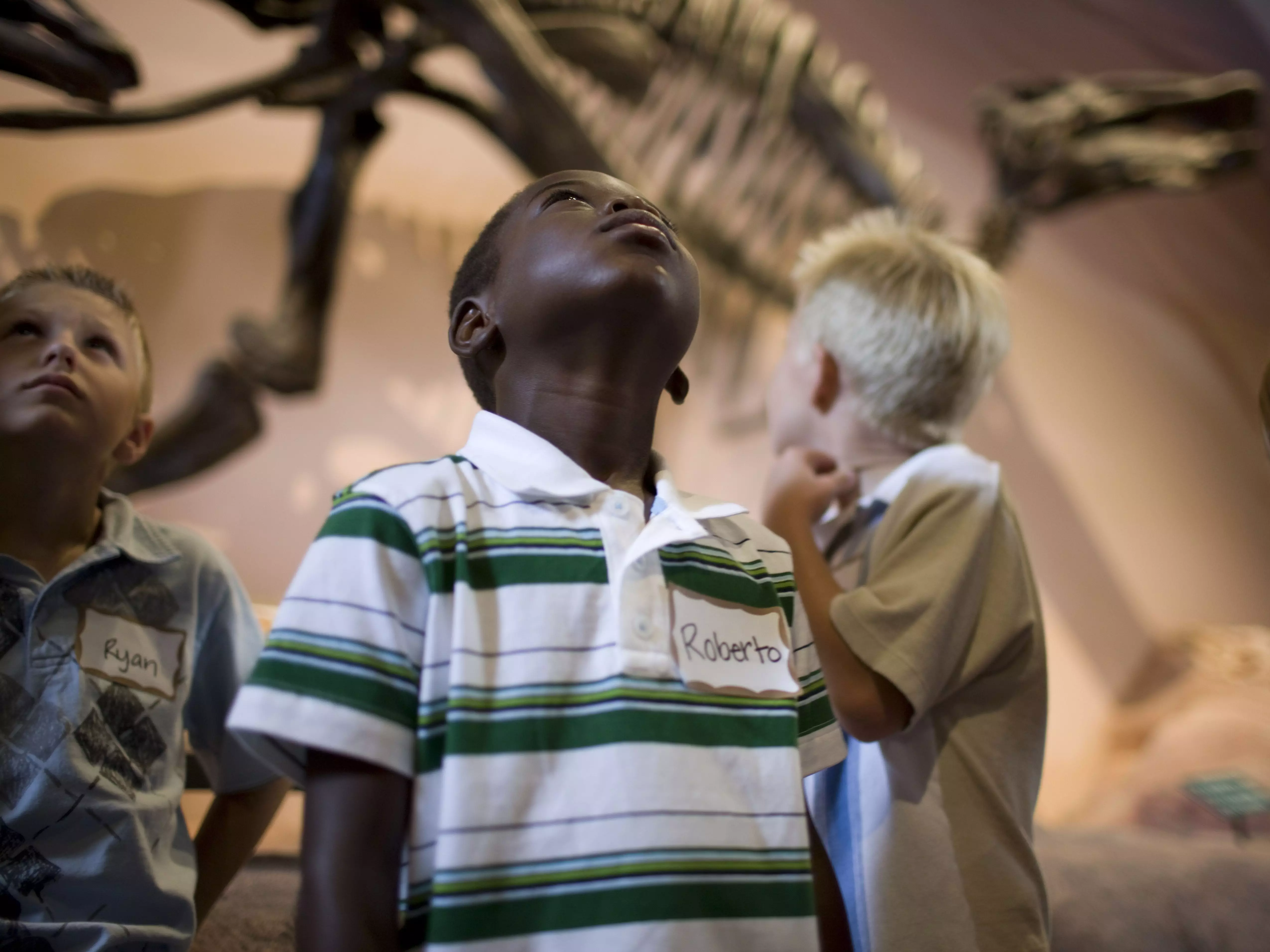 drenge i museum for dinosaurer