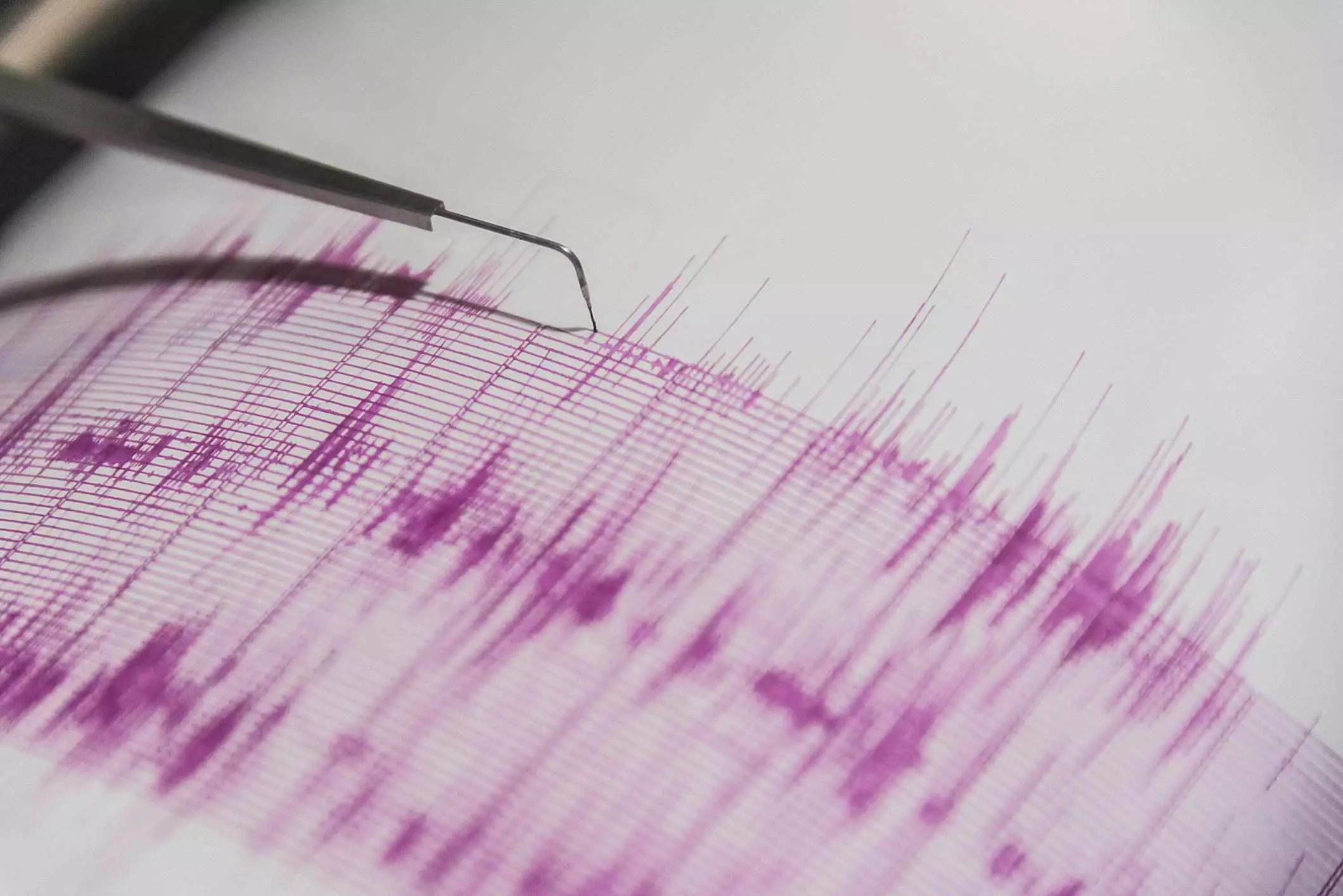 Сейсмометр реєструє поштовхи від землетрусу рожевим кольором