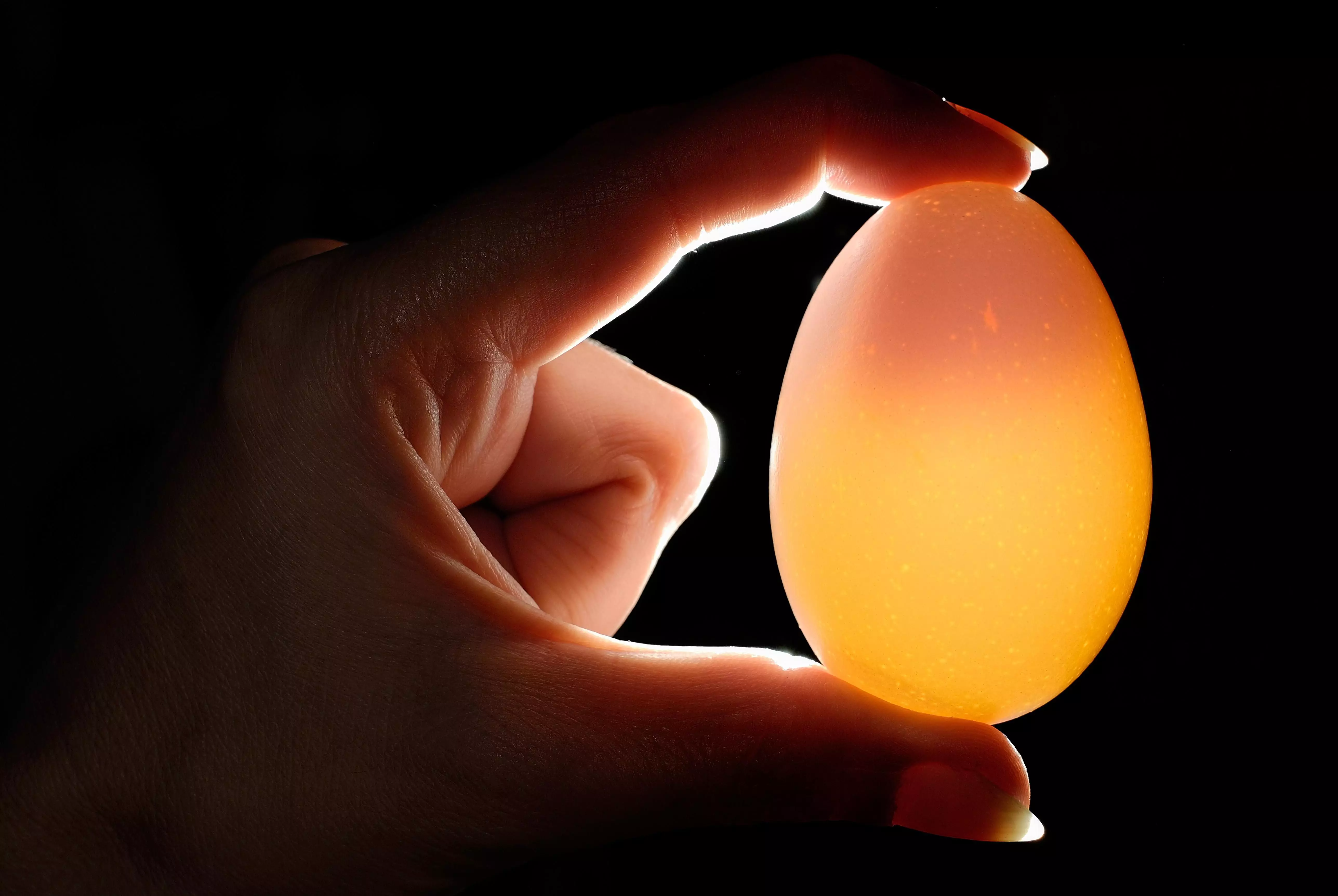 سرکہ میں انڈے: دانتوں کی صحت کا تجربہ