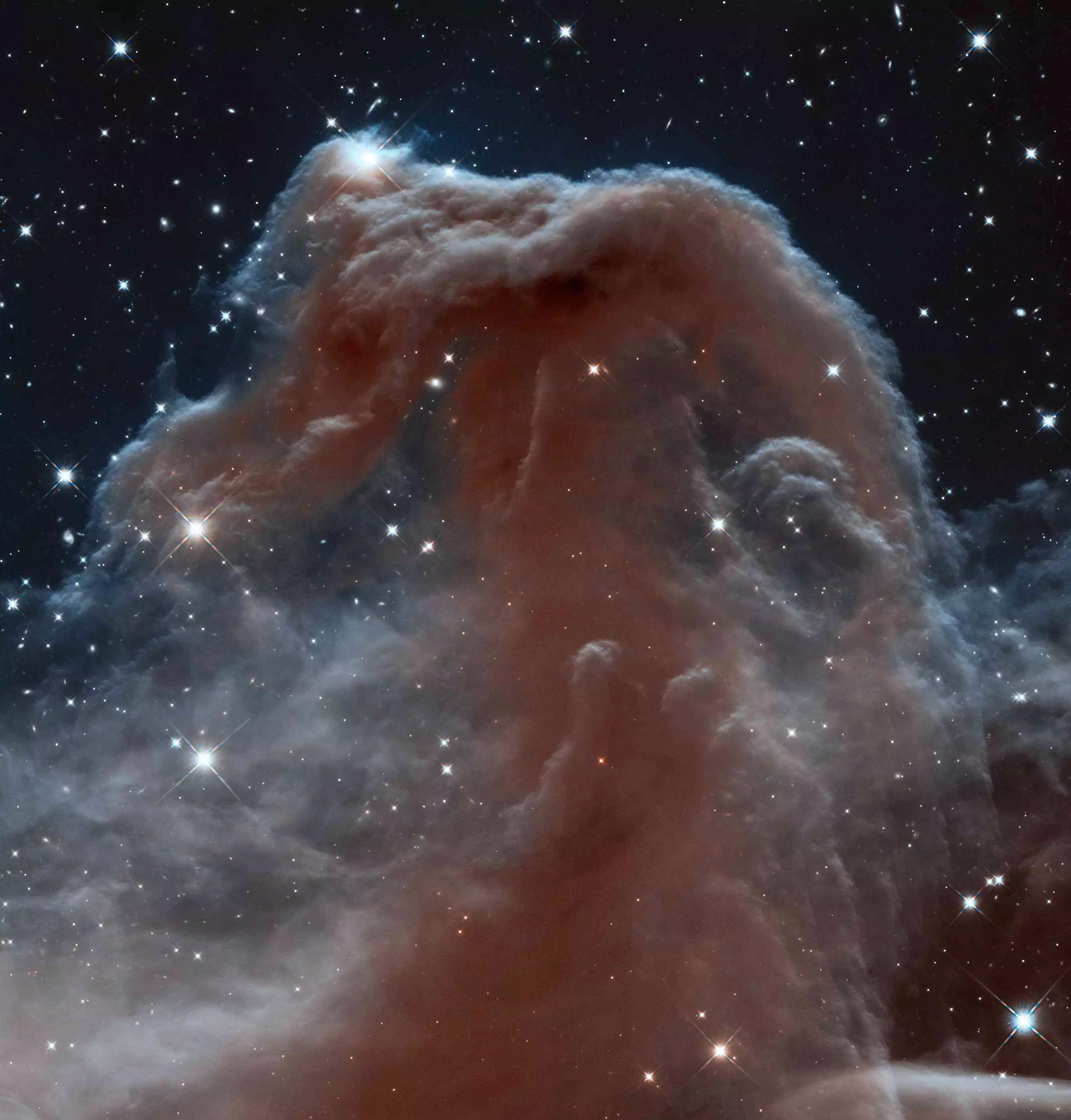 Nebulosa testa di cavallo di Hubble