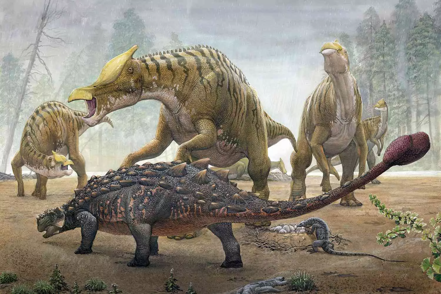 一群櫛龍與其他較小的恐龍的插圖