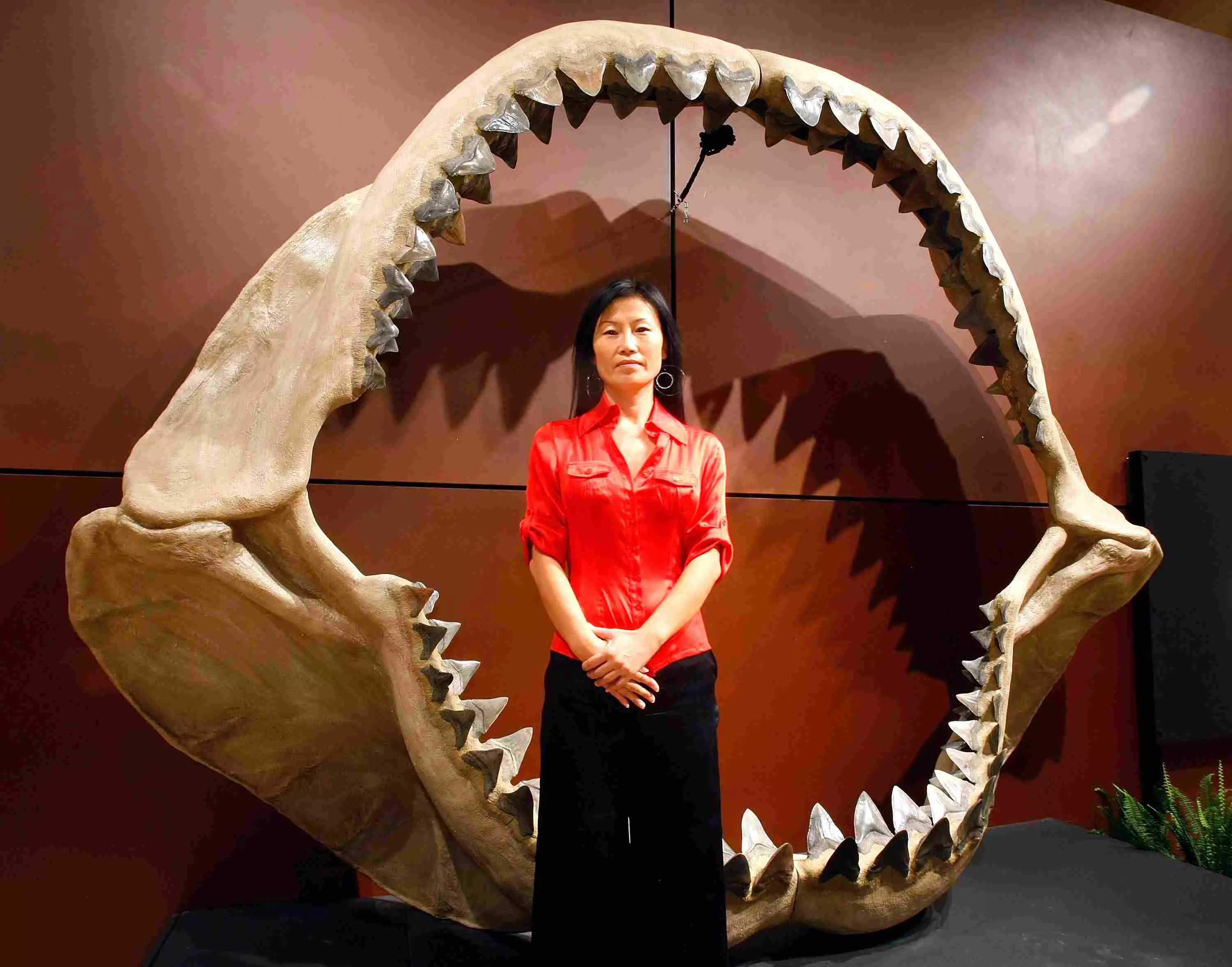 一個女人站在巨齒鯊的下巴旁邊
