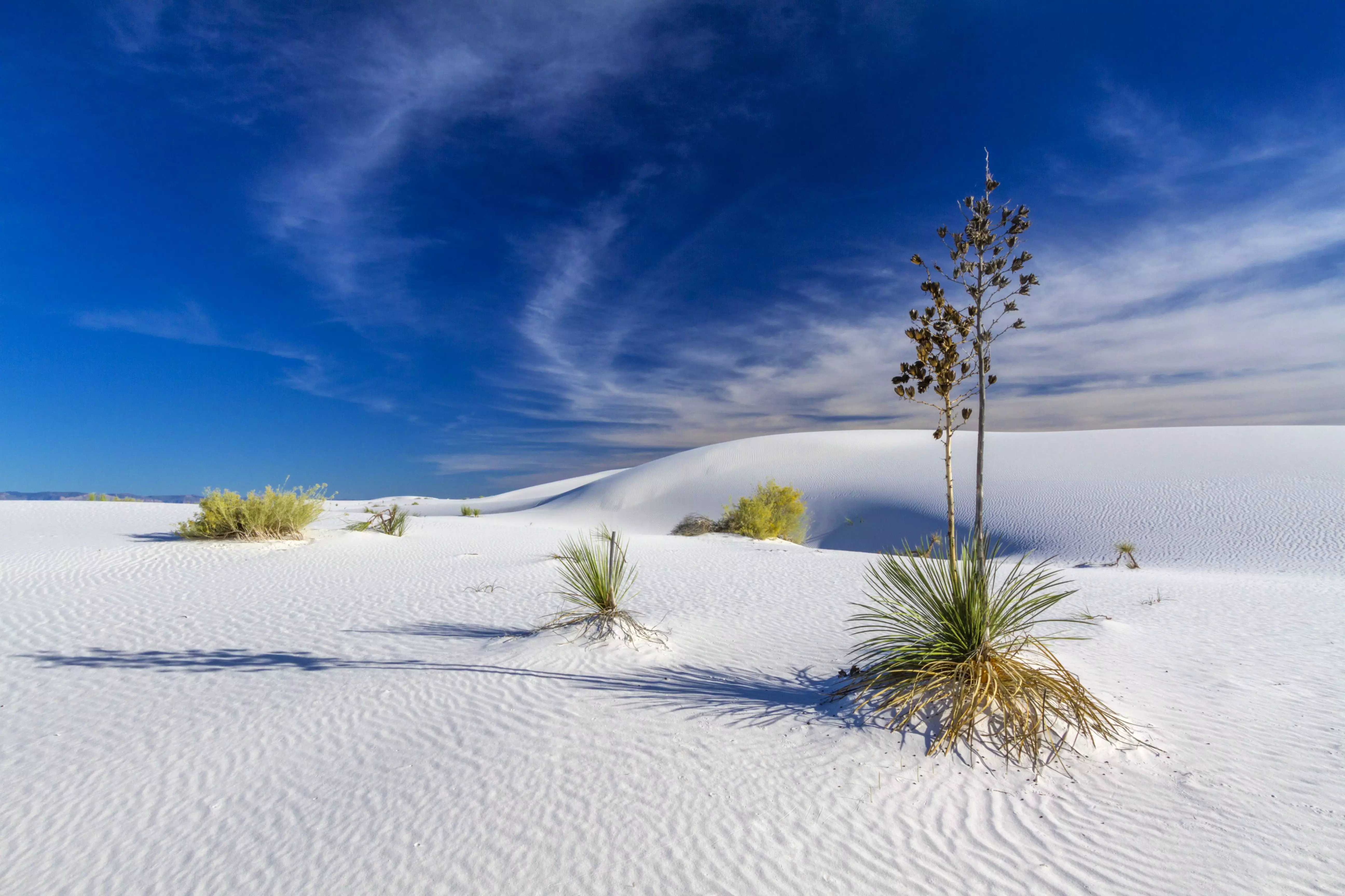 Nacionalni spomenik White Sands, Novi Meksiko