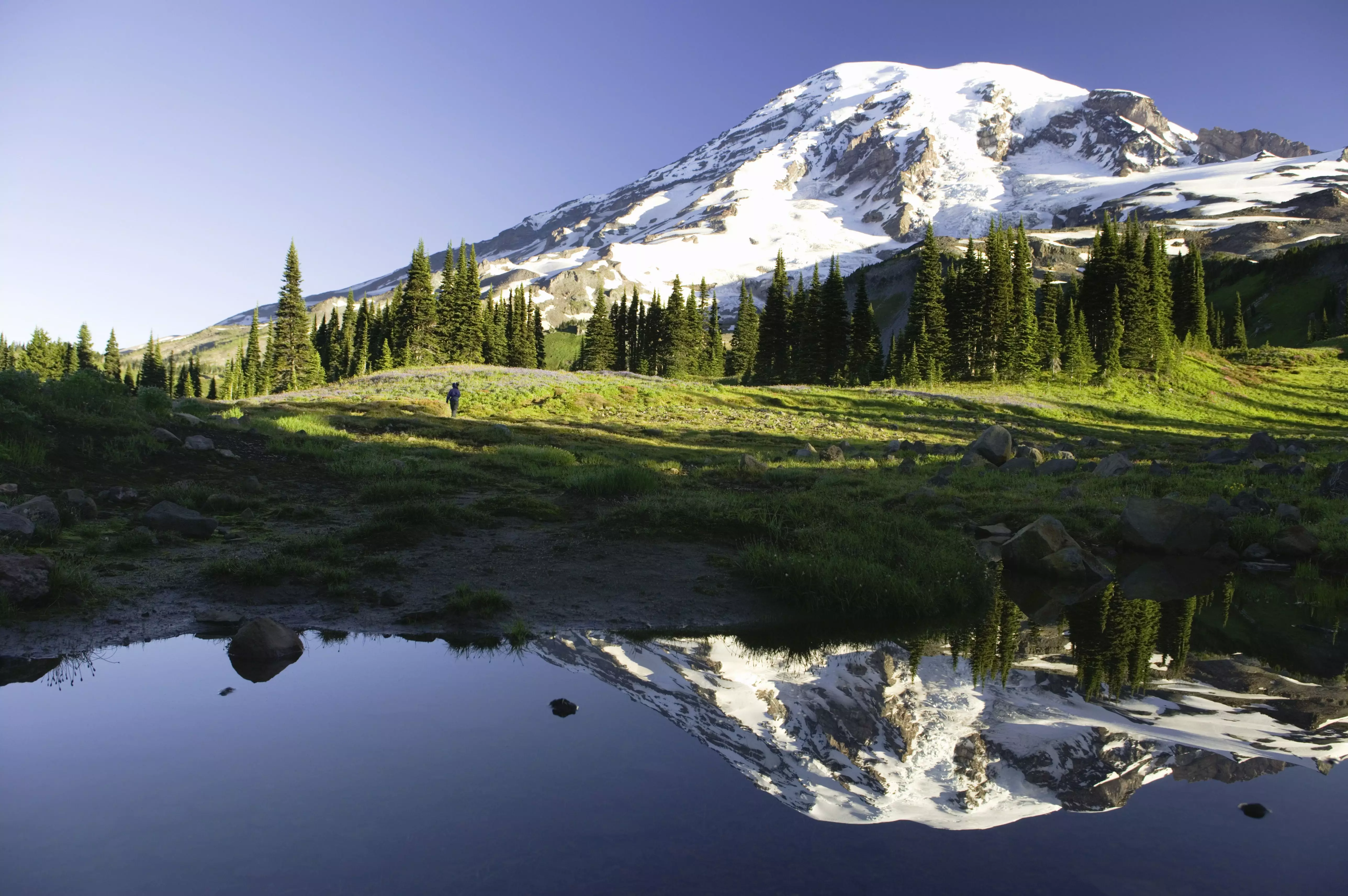 SAD, Washington, Nacionalni park Mt. Rainier, planinar na stazi