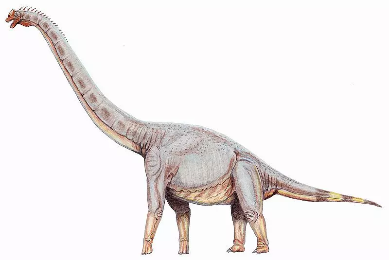 Sonorasaurus