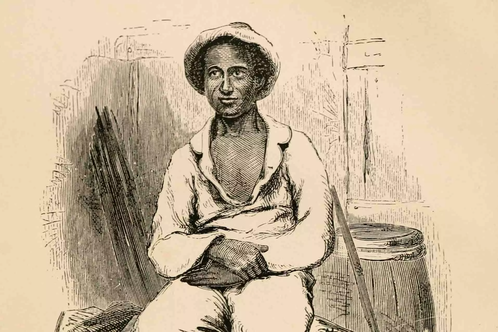 Hình minh họa của Solomon Northup