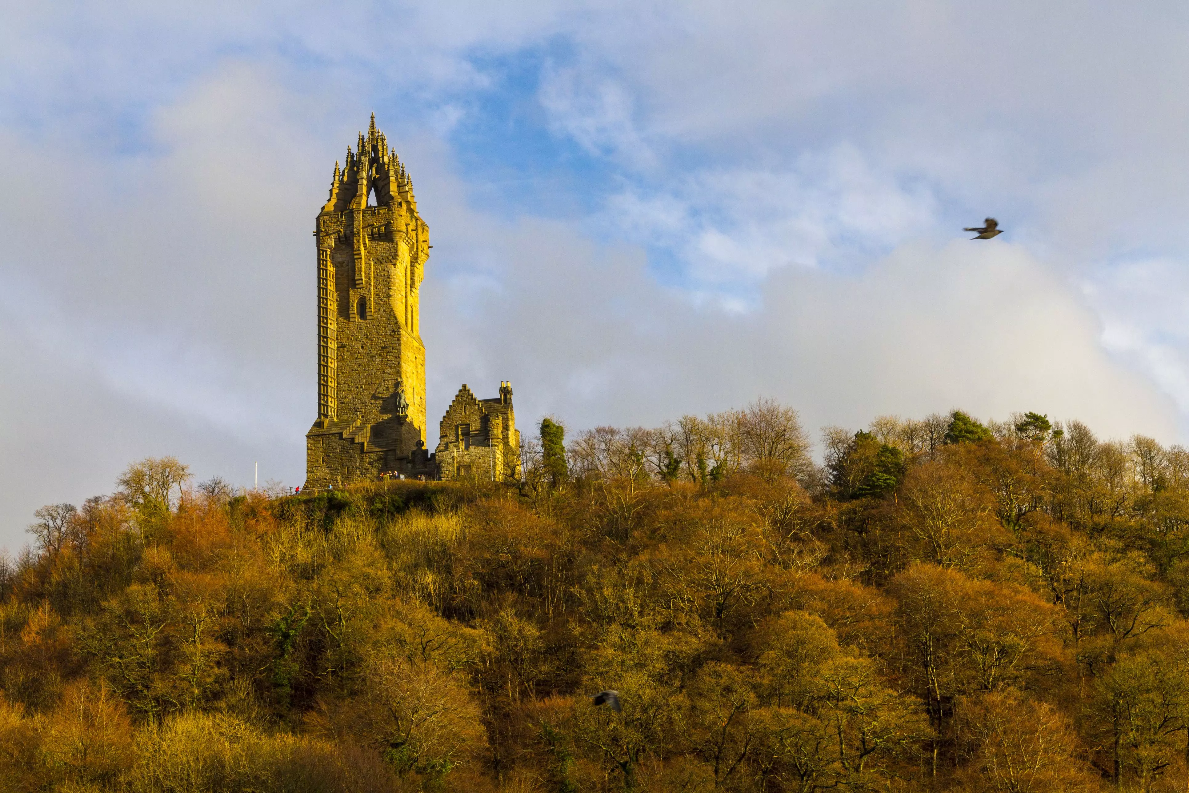 Ny National Wallace Monument