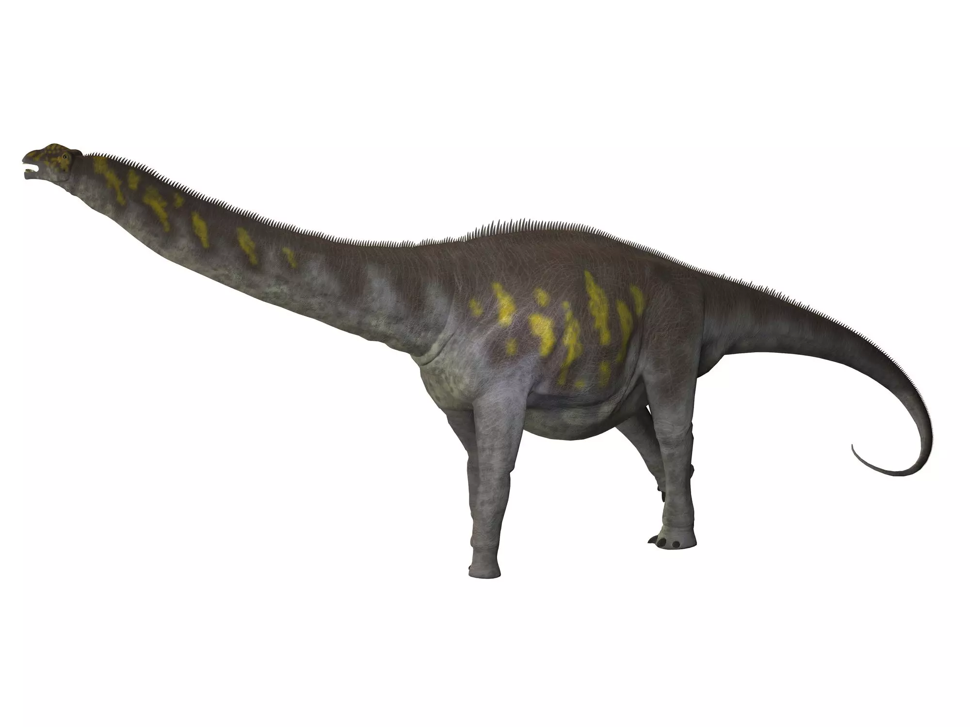 Titanosaurs - An Ceann deireanach de na Sauropods