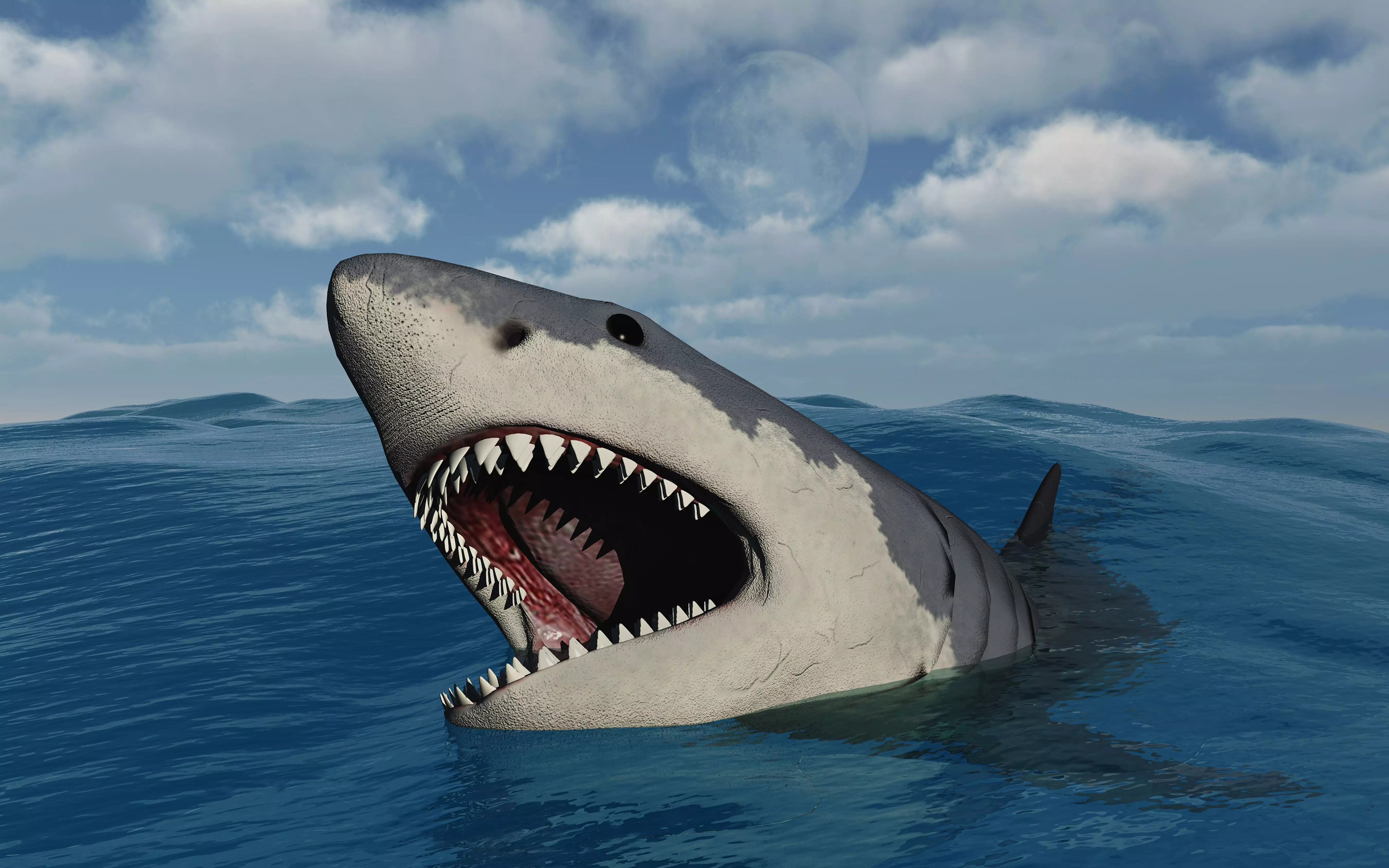 Siarc Megalodon enfawr.